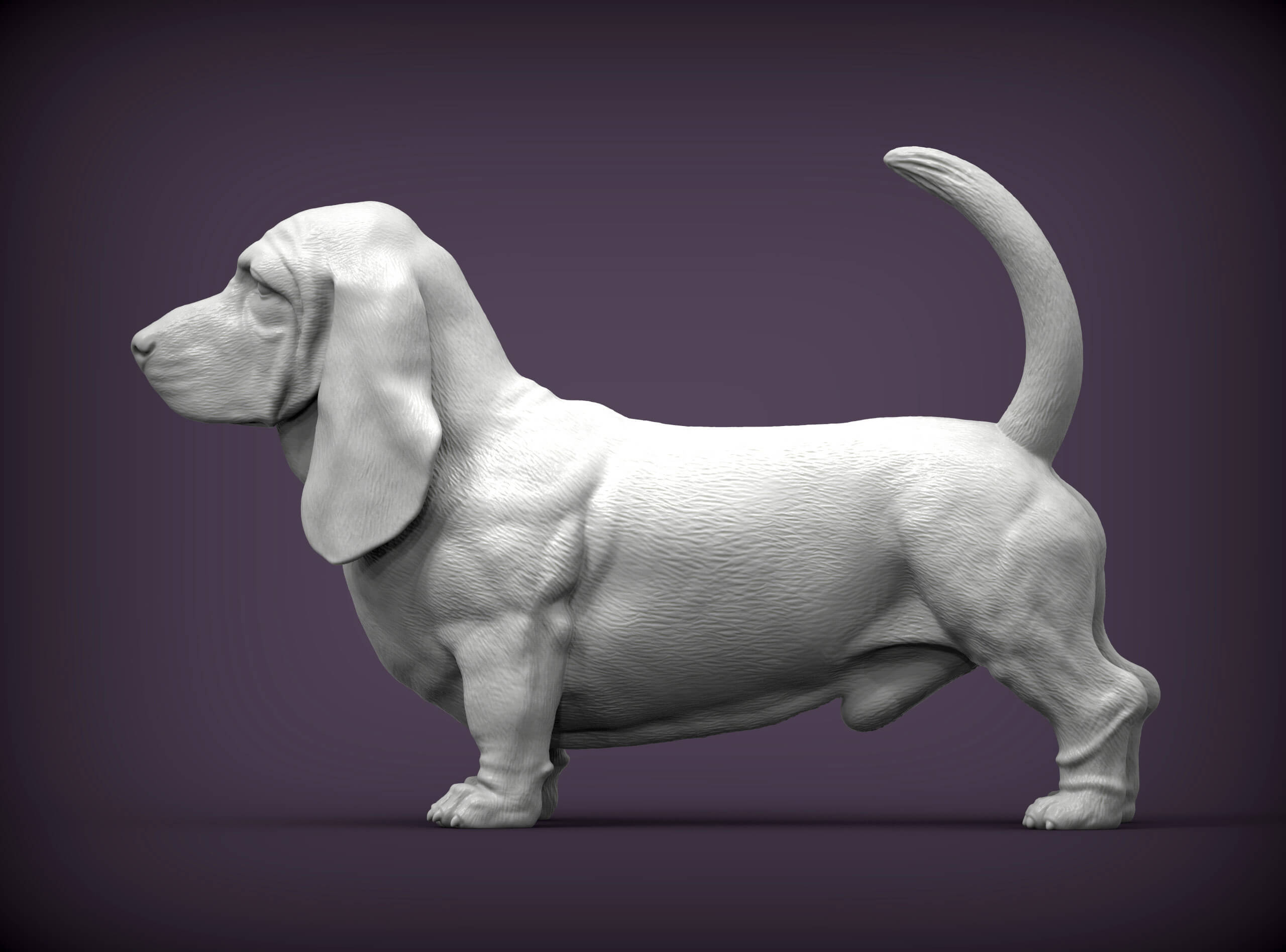 Basset Hound 3D Print Model by Alexander3dart