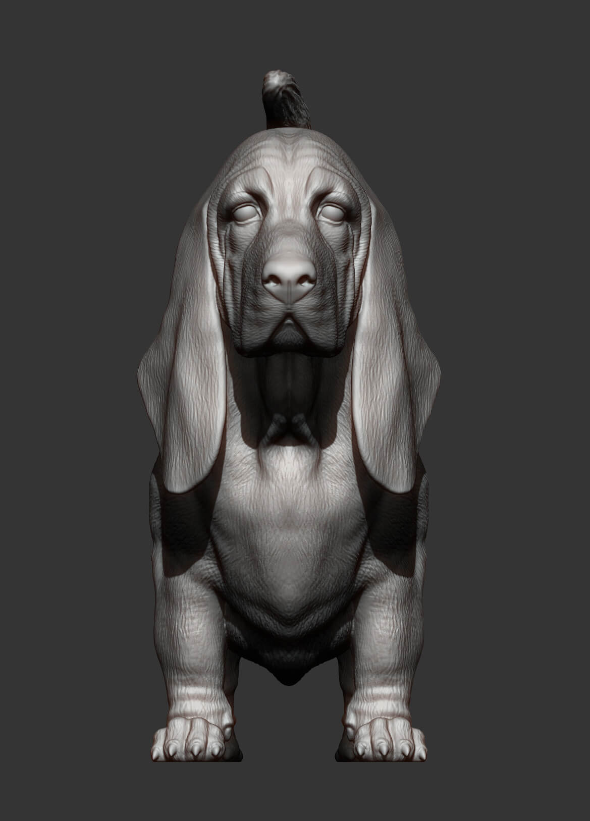 Basset Hound 3D Print Model by Alexander3dart