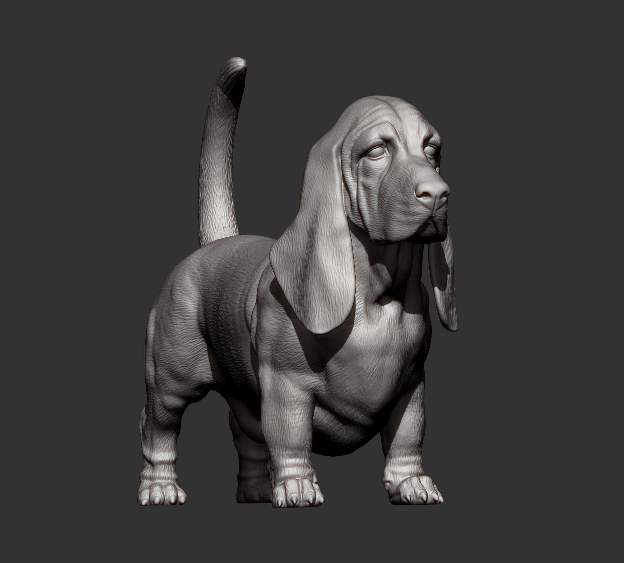 Basset Hound 3D Print Model by Alexander3dart
