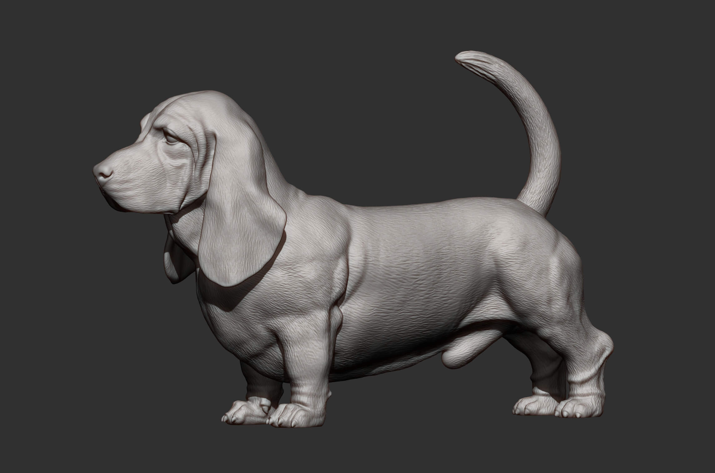 Basset Hound 3D Print Model by Alexander3dart