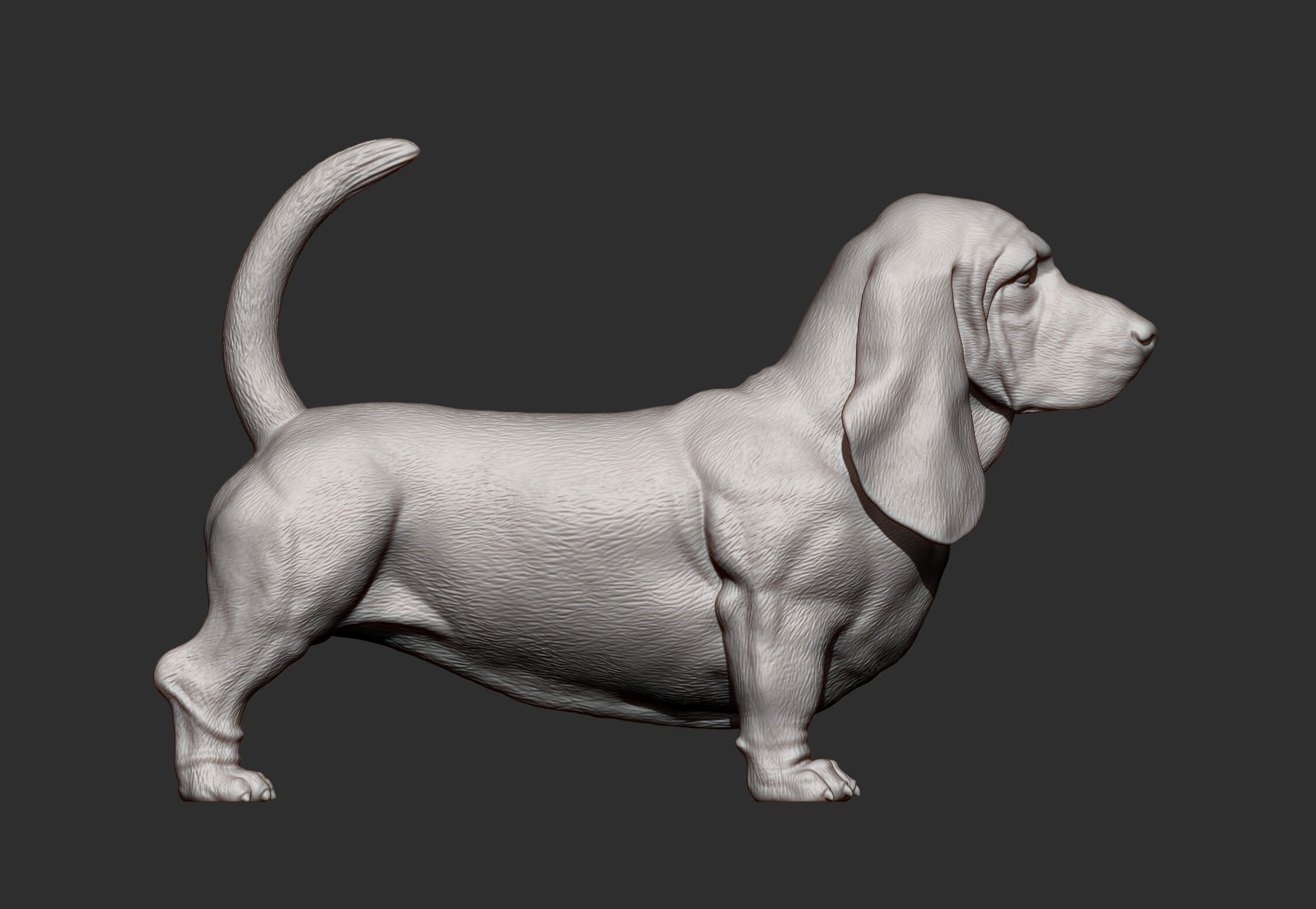 Basset Hound 3D Print Model by Alexander3dart
