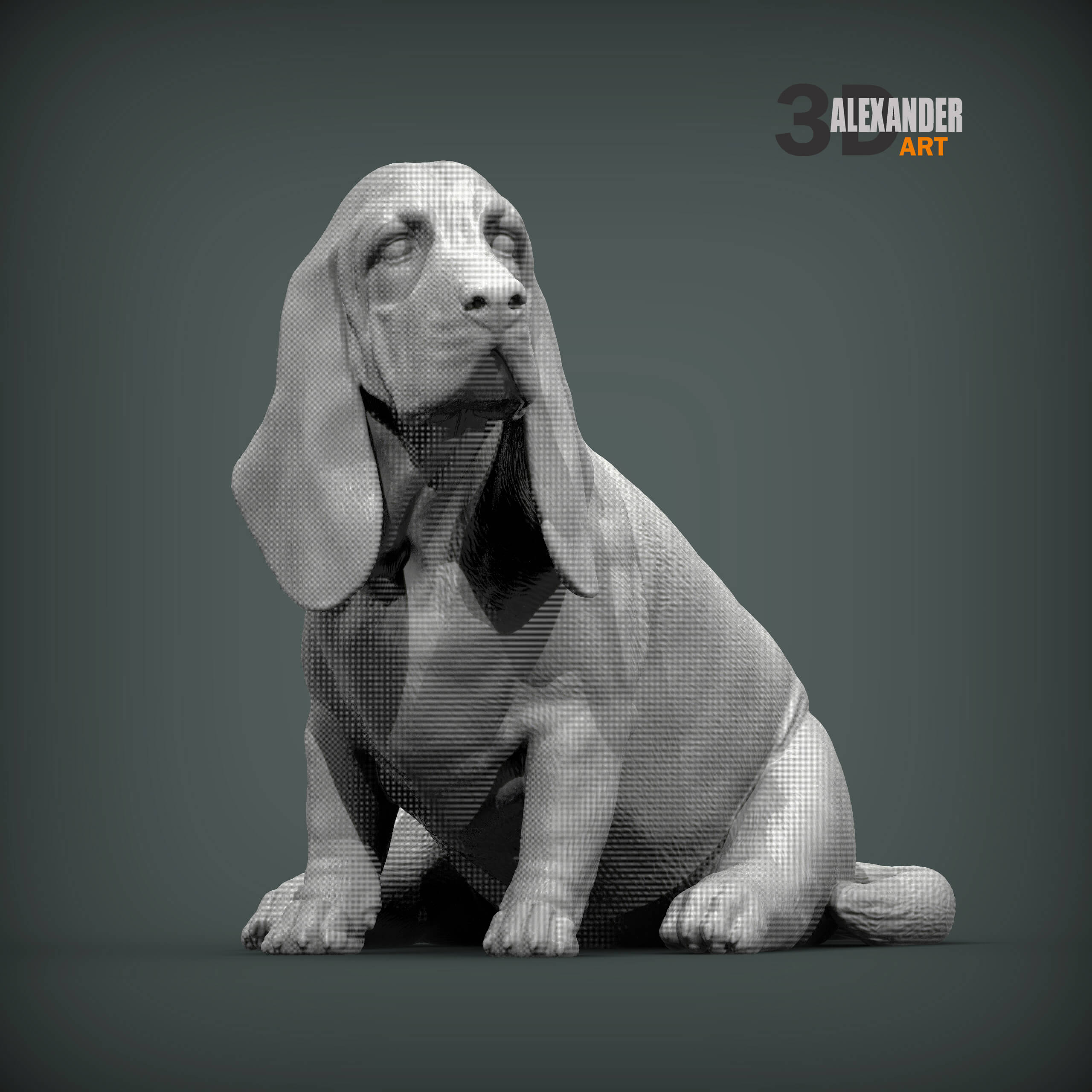 Basset Hound Sitting - 3D Model by Alexander3dart