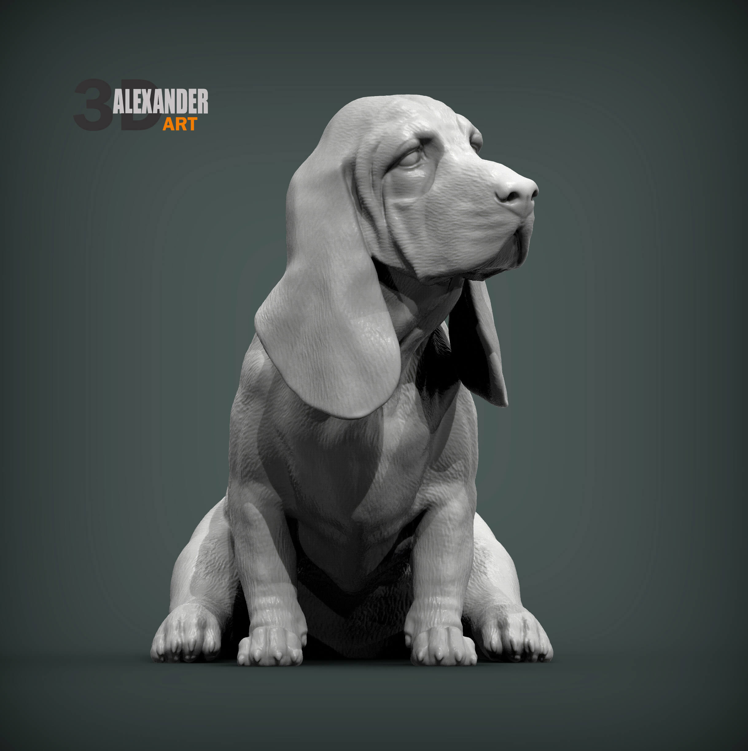 Basset Hound Sitting - 3D Model by Alexander3dart