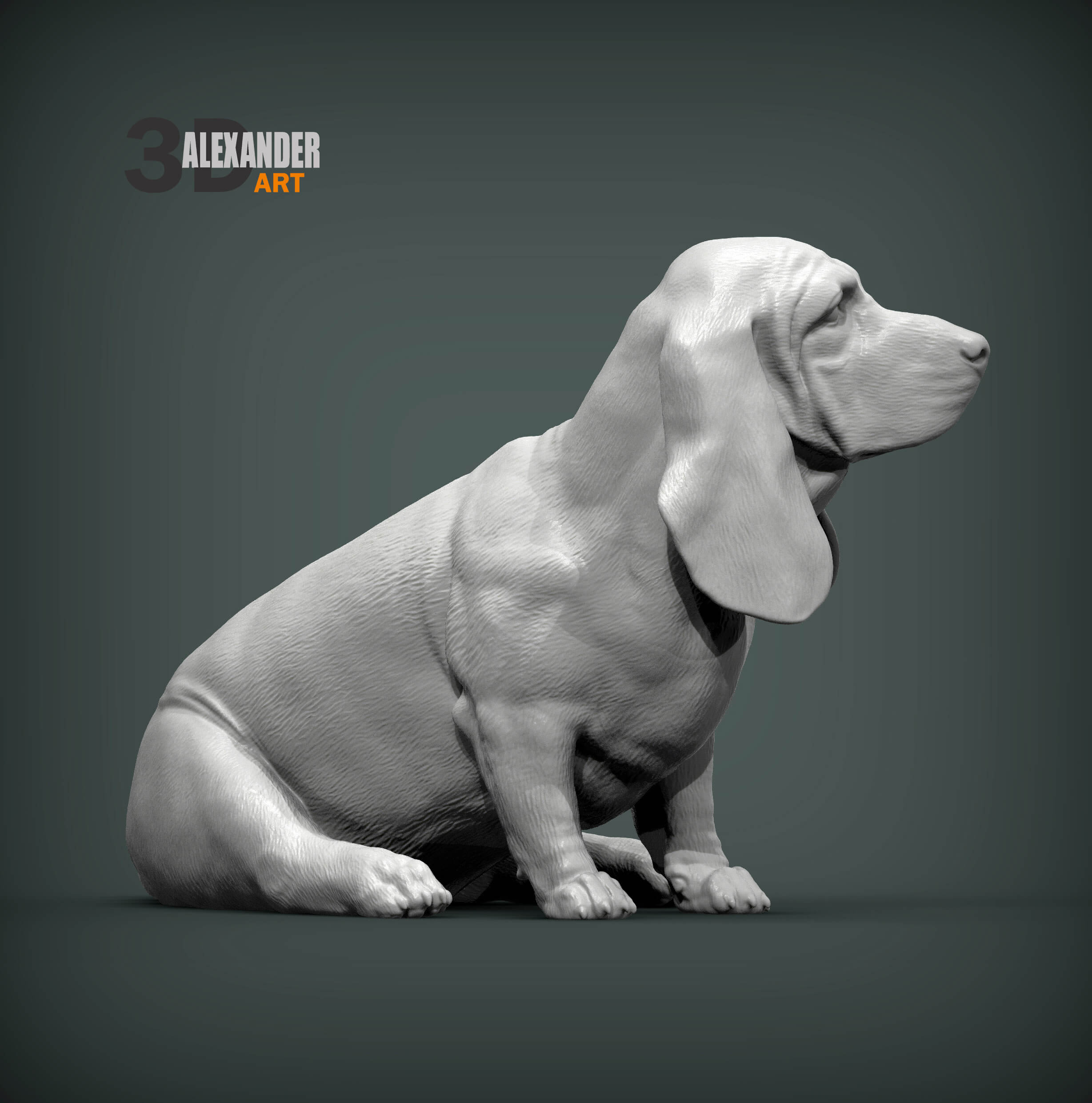 Basset Hound Sitting - 3D Model by Alexander3dart
