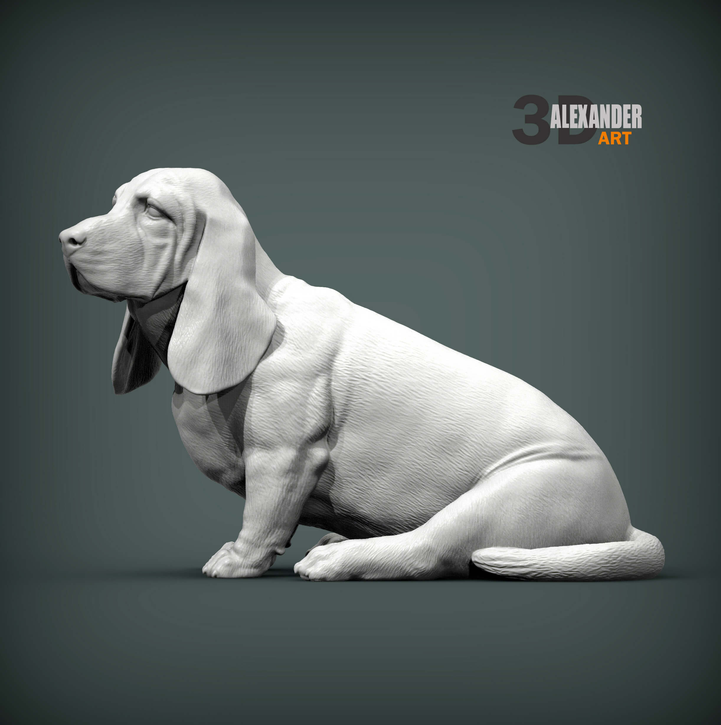 Basset Hound Sitting - 3D Model by Alexander3dart