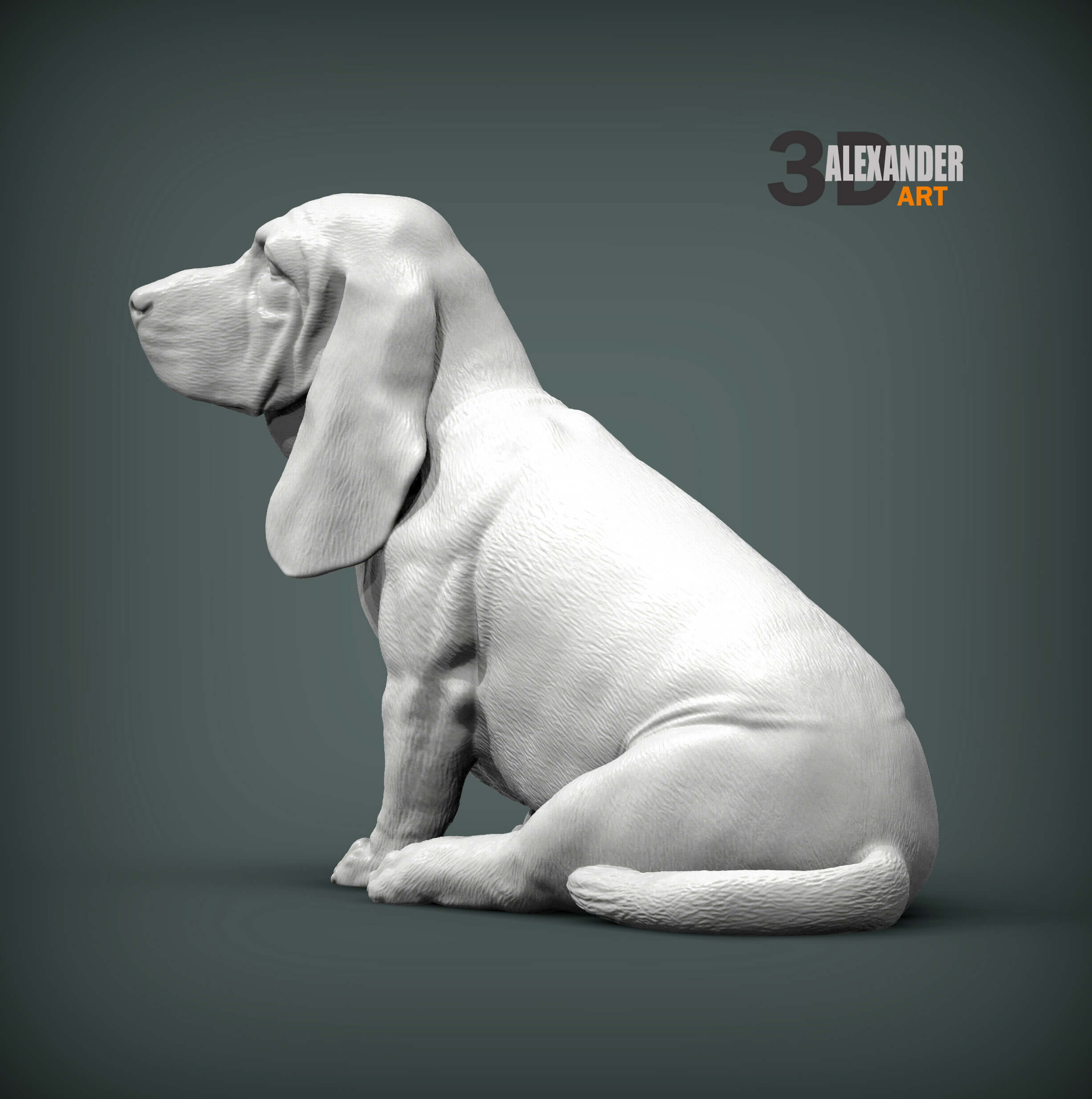 Basset Hound Sitting - 3D Model by Alexander3dart