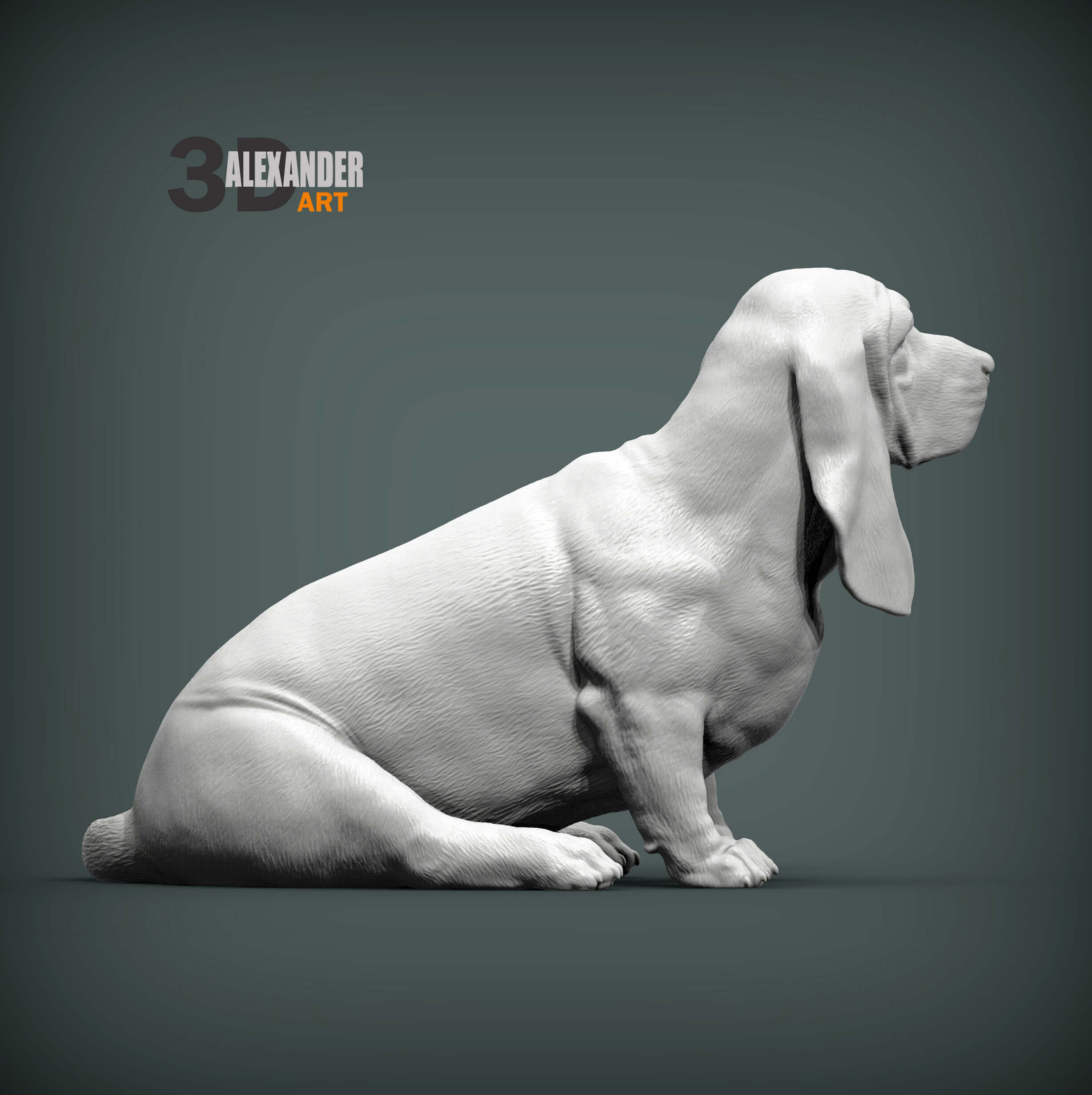 Basset Hound Sitting - 3D Model by Alexander3dart