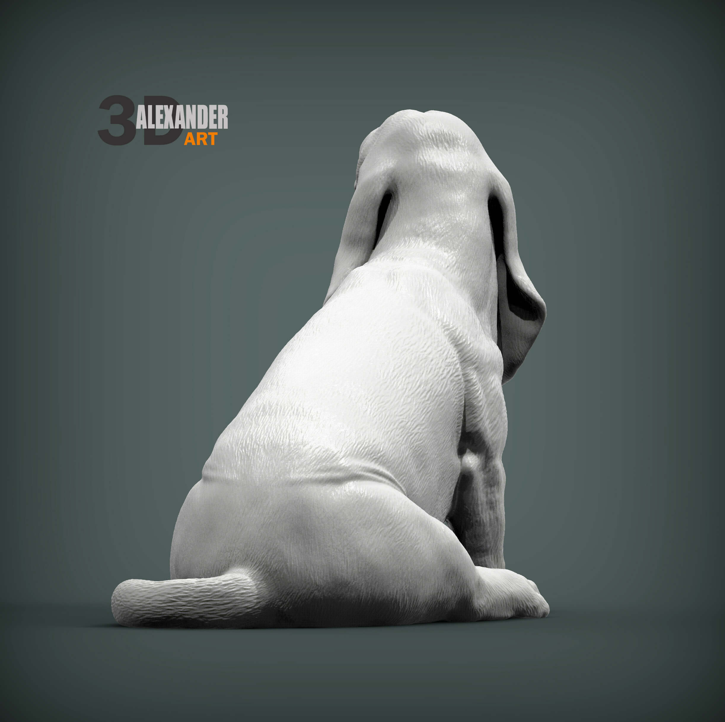 Basset Hound Sitting - 3D Model by Alexander3dart