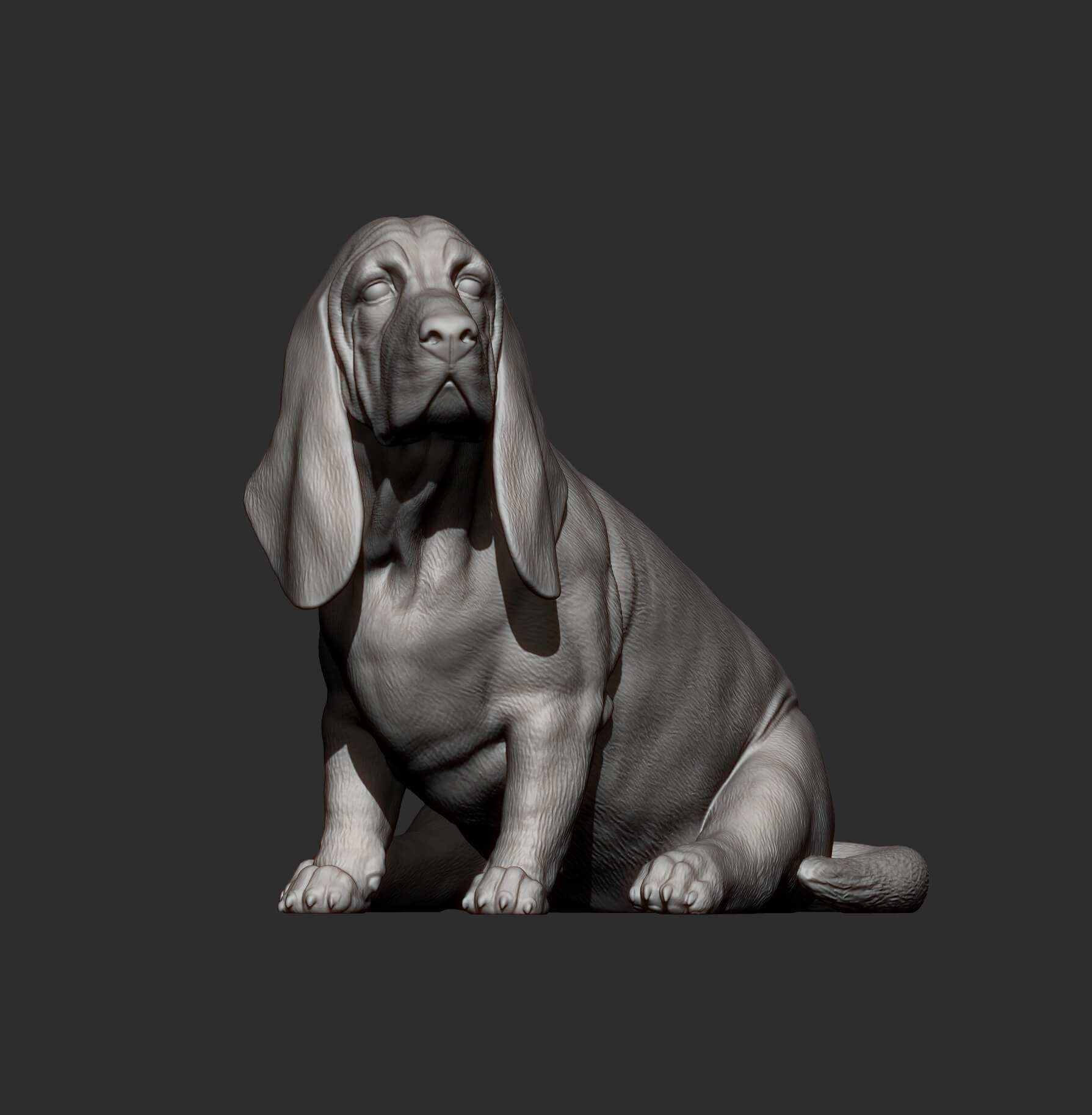 Basset Hound Sitting - 3D Model by Alexander3dart