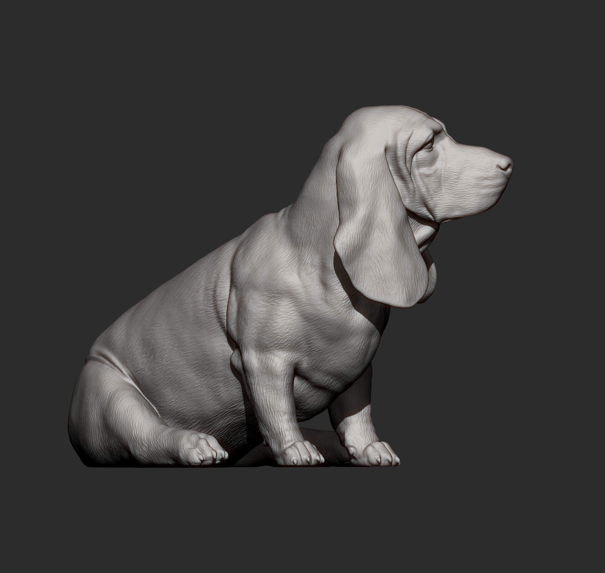 Basset Hound Sitting - 3D Model by Alexander3dart