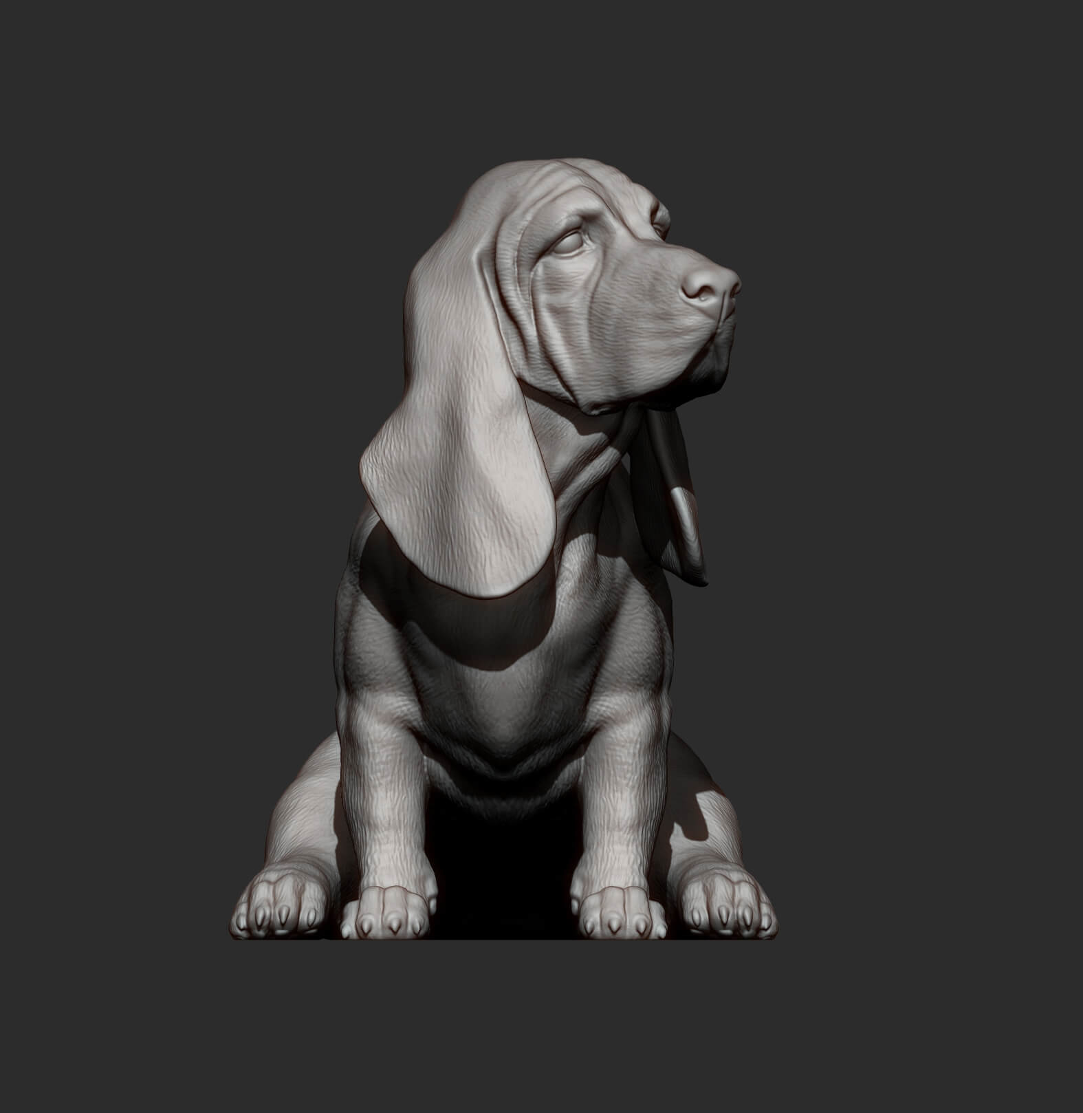 Basset Hound Sitting - 3D Model by Alexander3dart