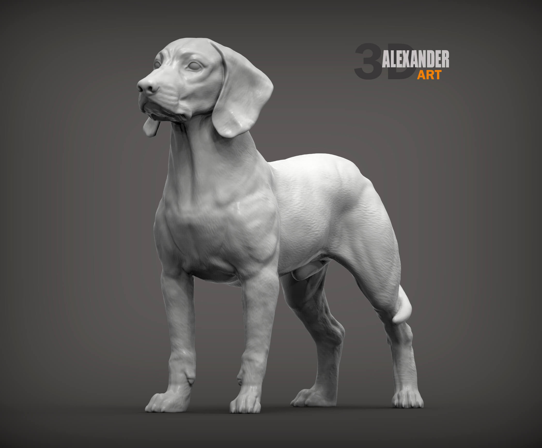 Bavarian Mountain Bloodhound 3D Print Model by Alexander3dart
