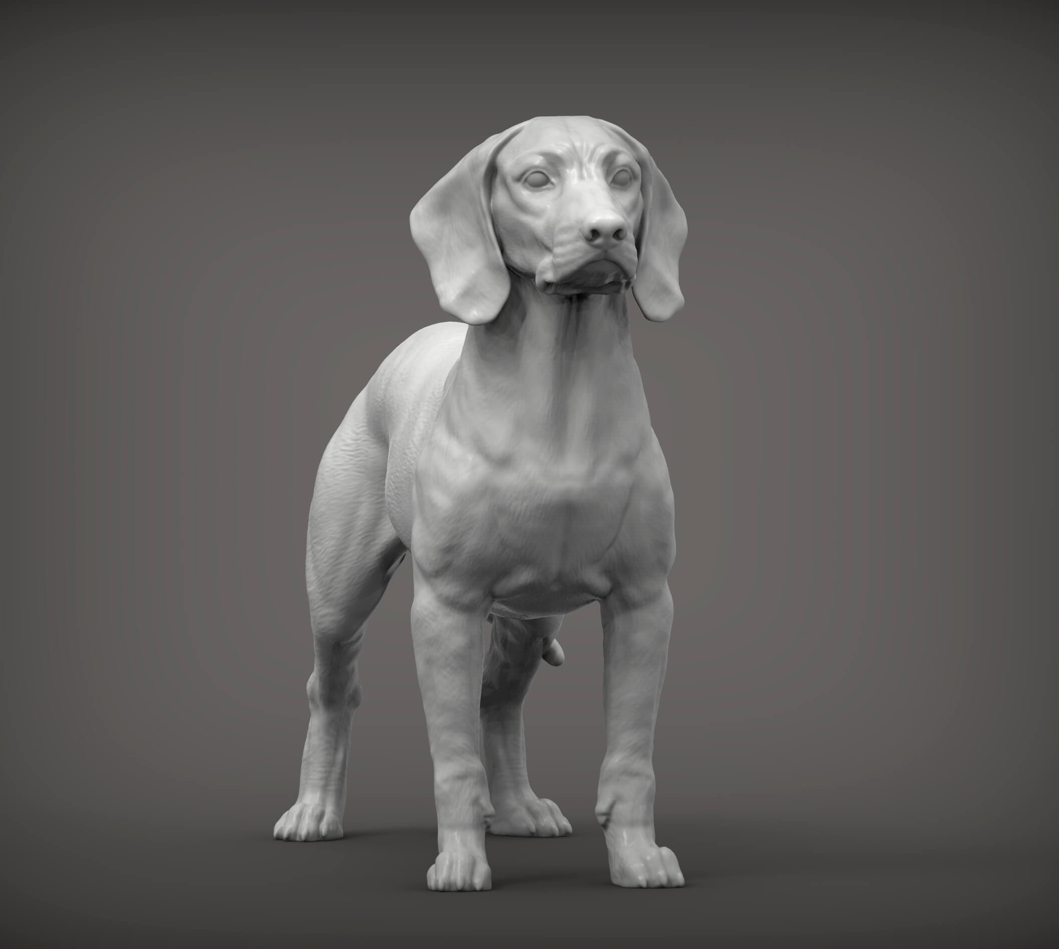 Bavarian Mountain Bloodhound 3D Print Model by Alexander3dart