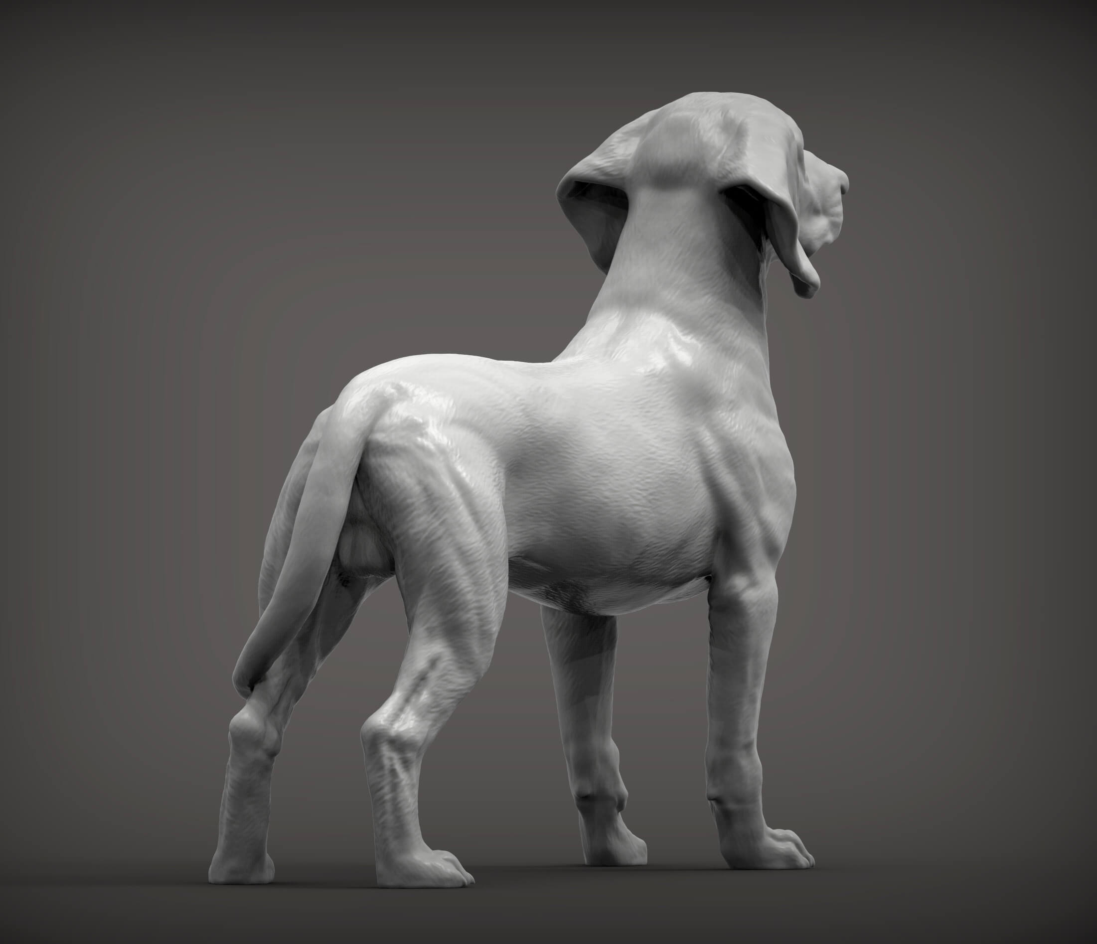 Bavarian Mountain Bloodhound 3D Print Model by Alexander3dart