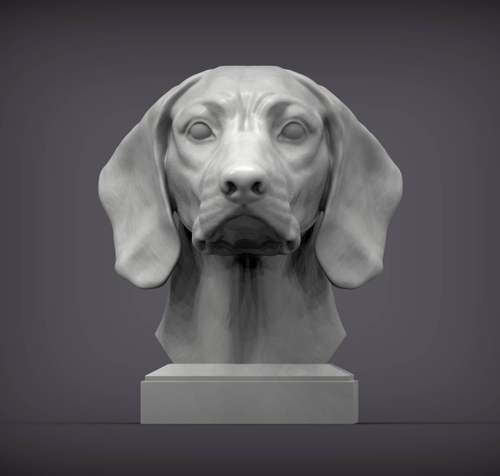 Bavarian Mountain Bloodhound Bust 3D Print Model by Alexander3dart