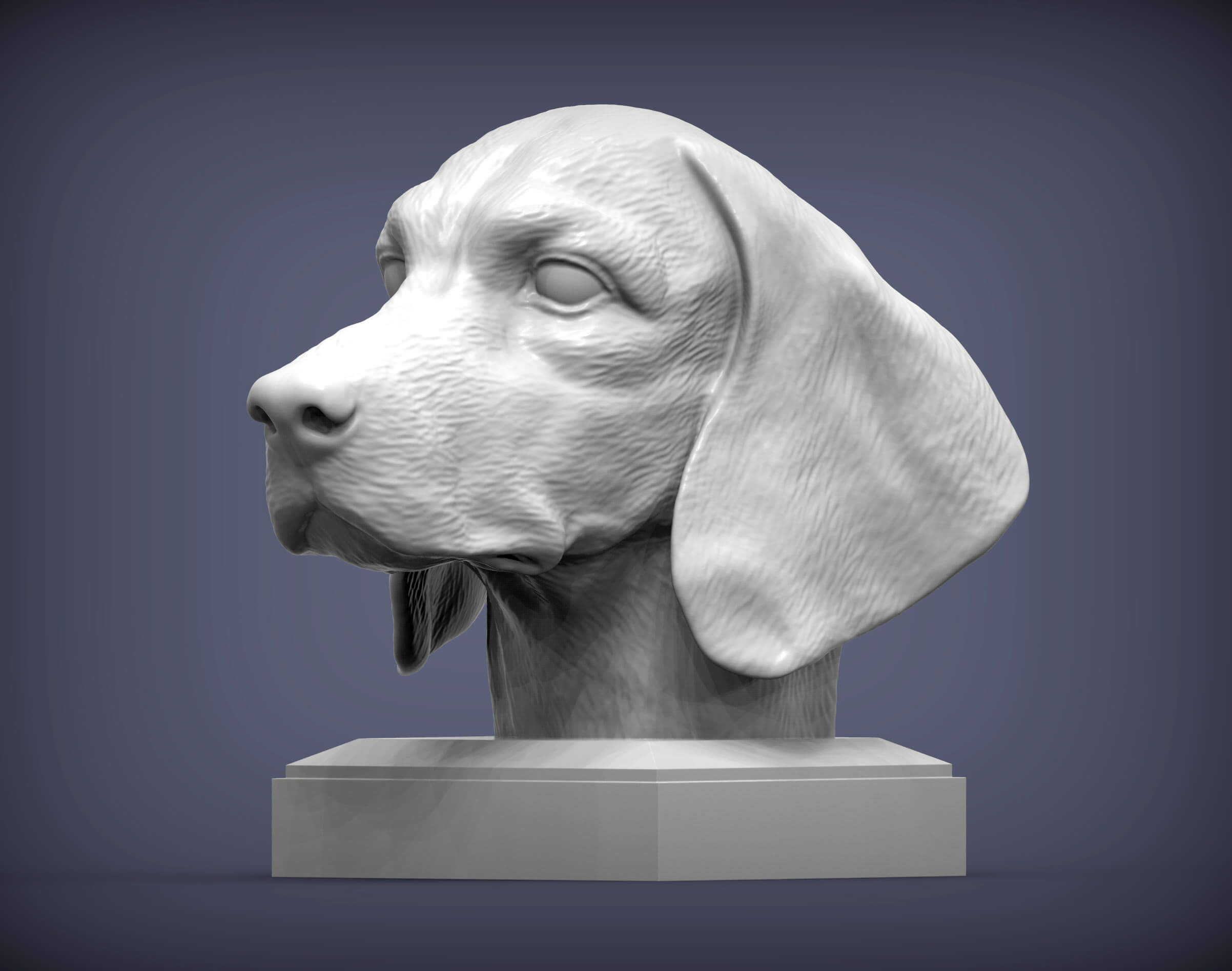 Beagle Bust of 3D Print Model by Alexander3dart
