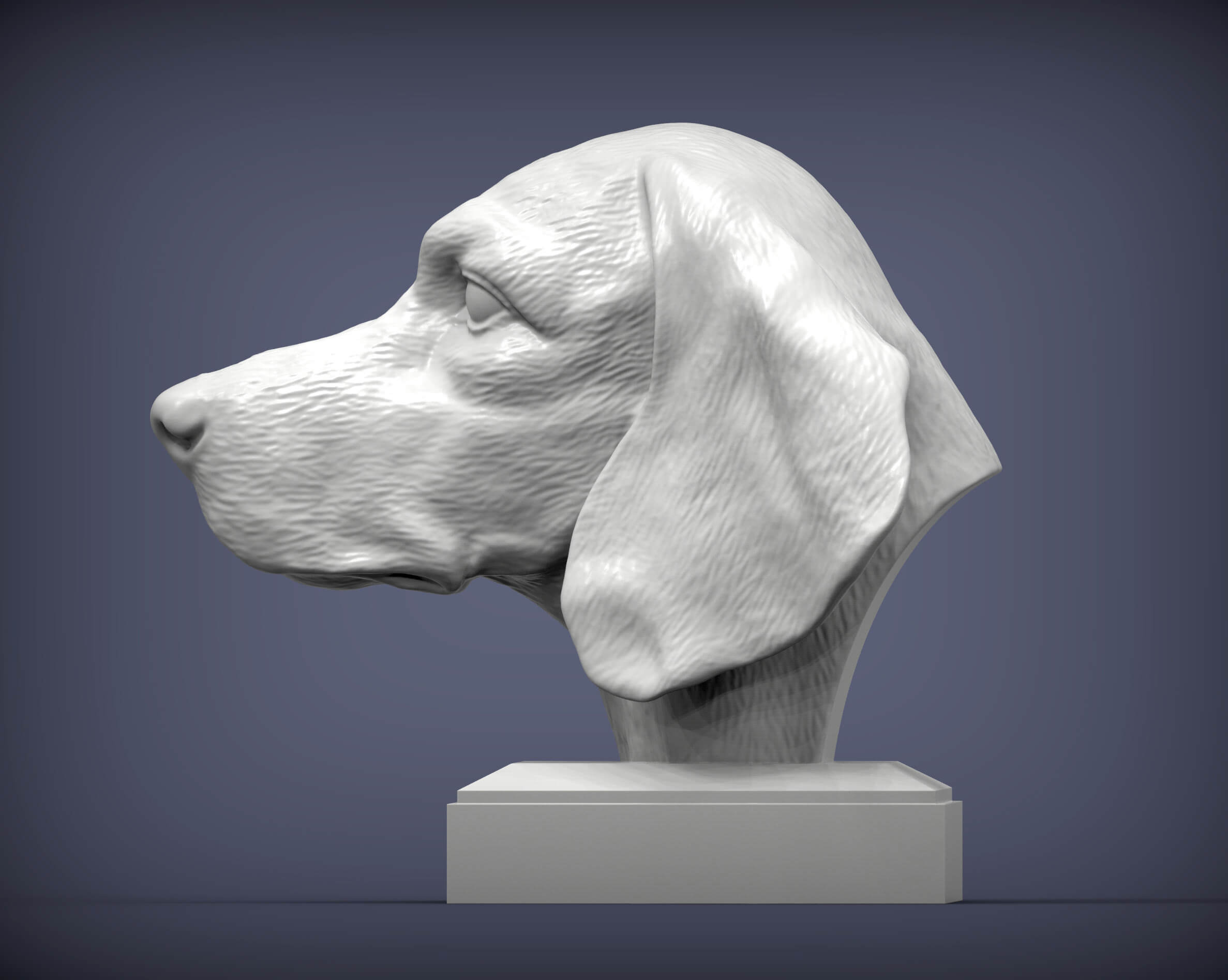 Beagle Bust of 3D Print Model by Alexander3dart