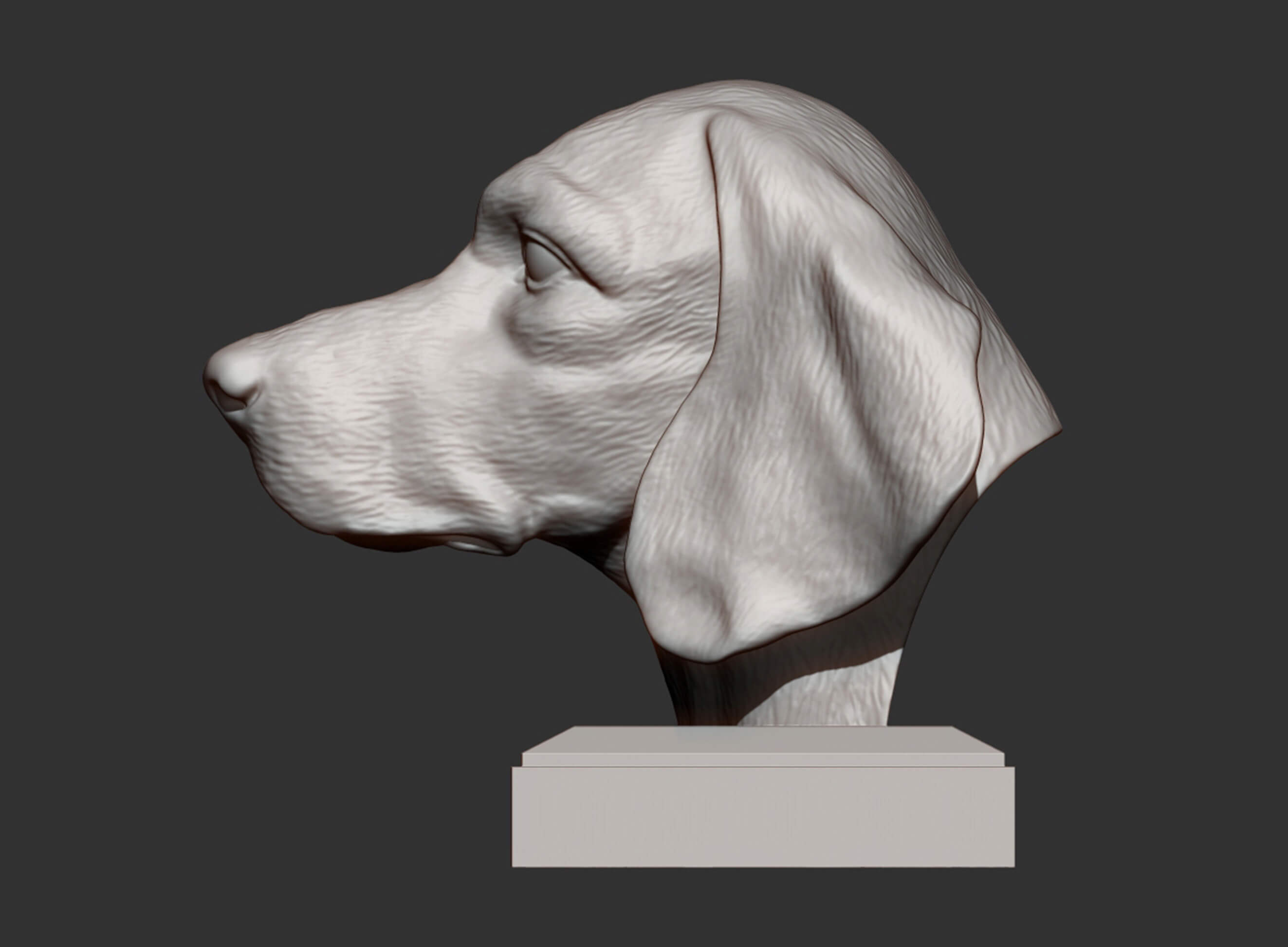 Beagle Bust of 3D Print Model by Alexander3dart