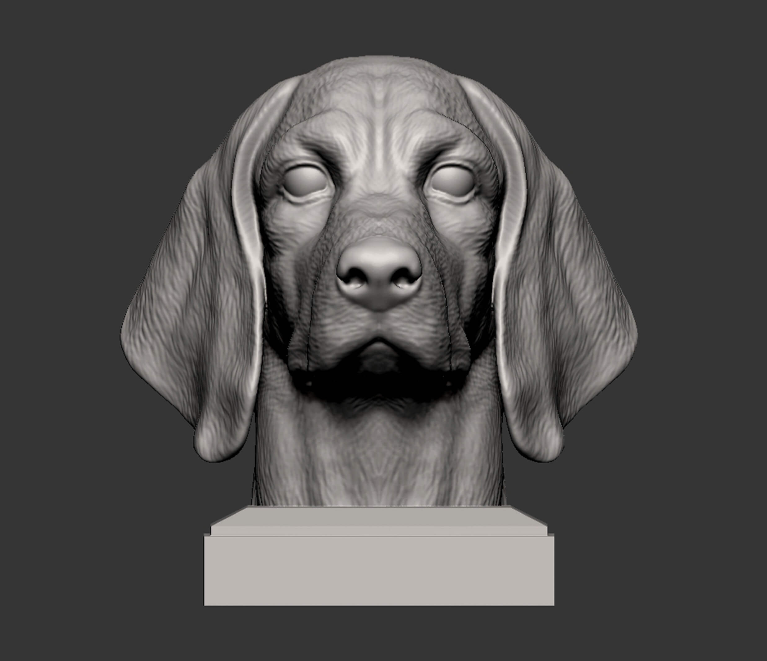 Beagle Bust of 3D Print Model by Alexander3dart