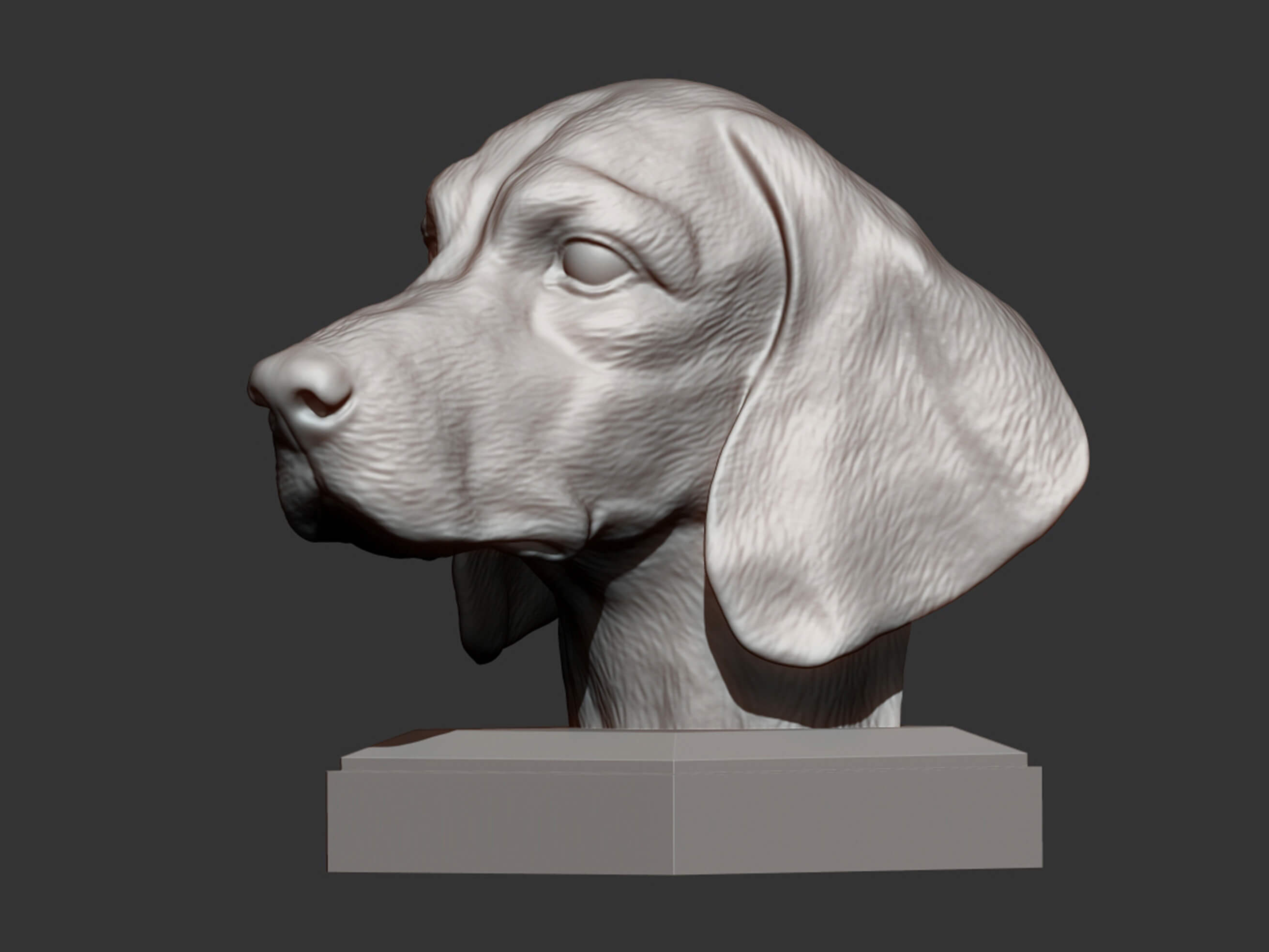 Beagle Bust of 3D Print Model by Alexander3dart