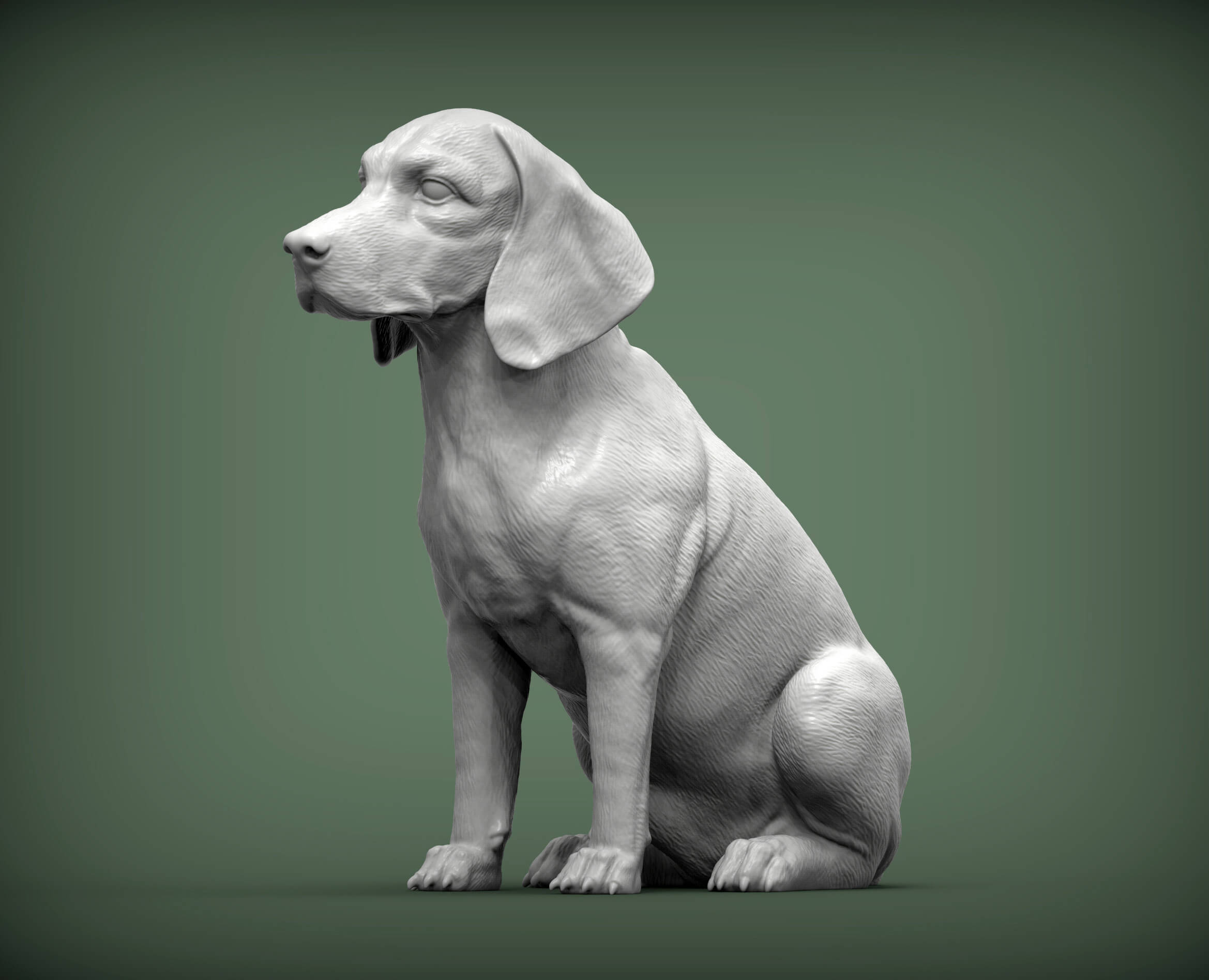 Beagle Dog 3D Print Model by Alexander3dart