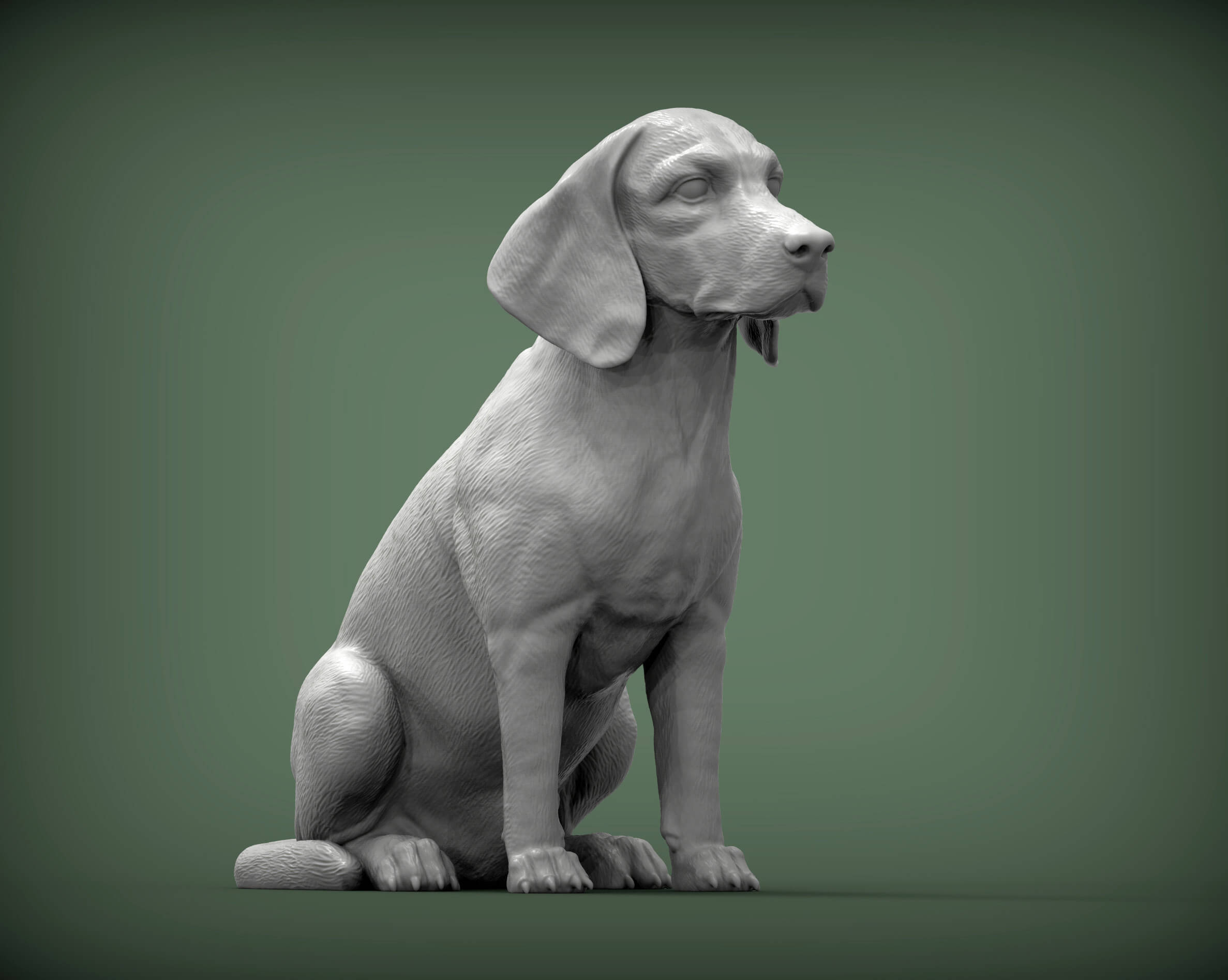 Beagle Dog 3D Print Model by Alexander3dart