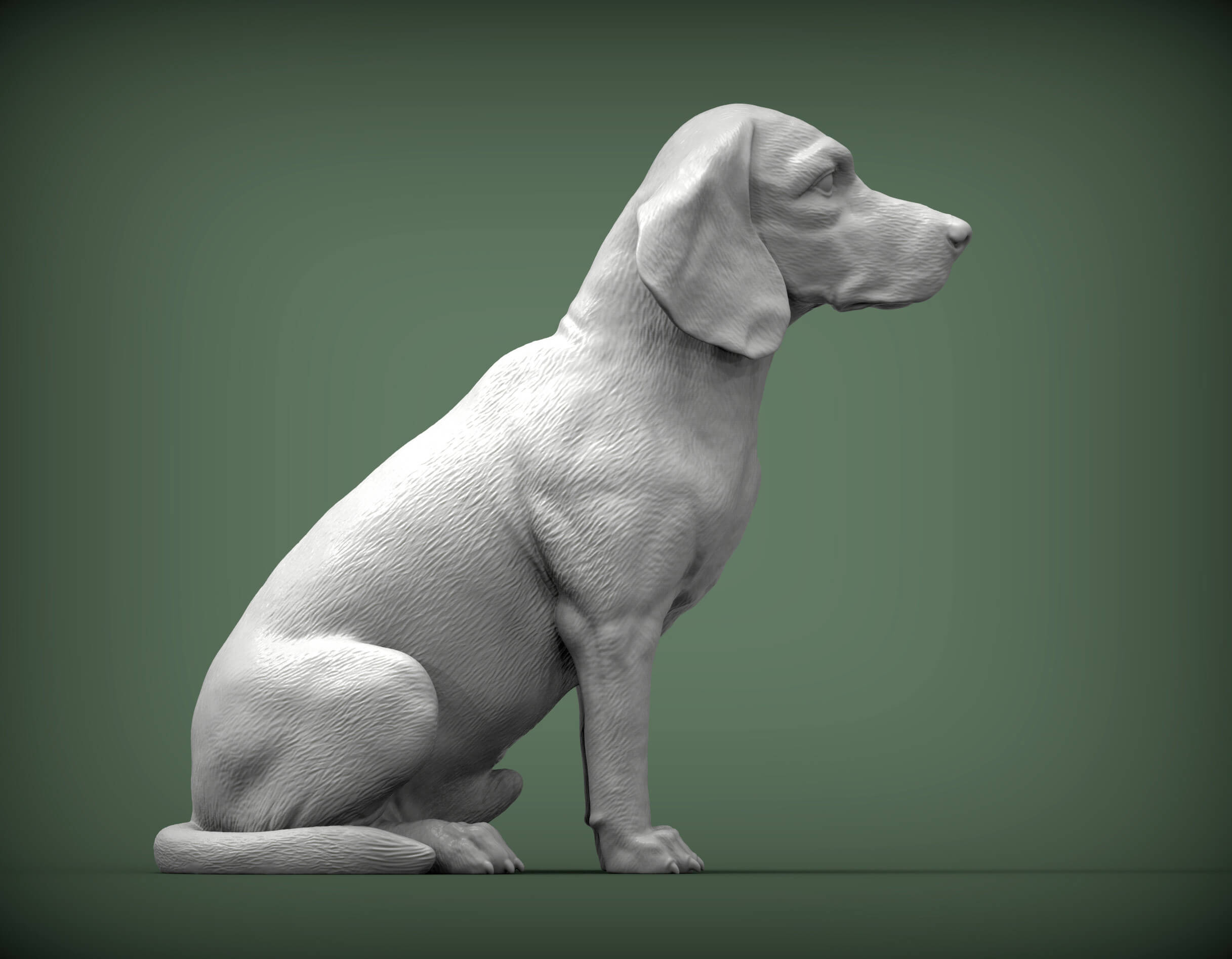 Beagle Dog 3D Print Model by Alexander3dart