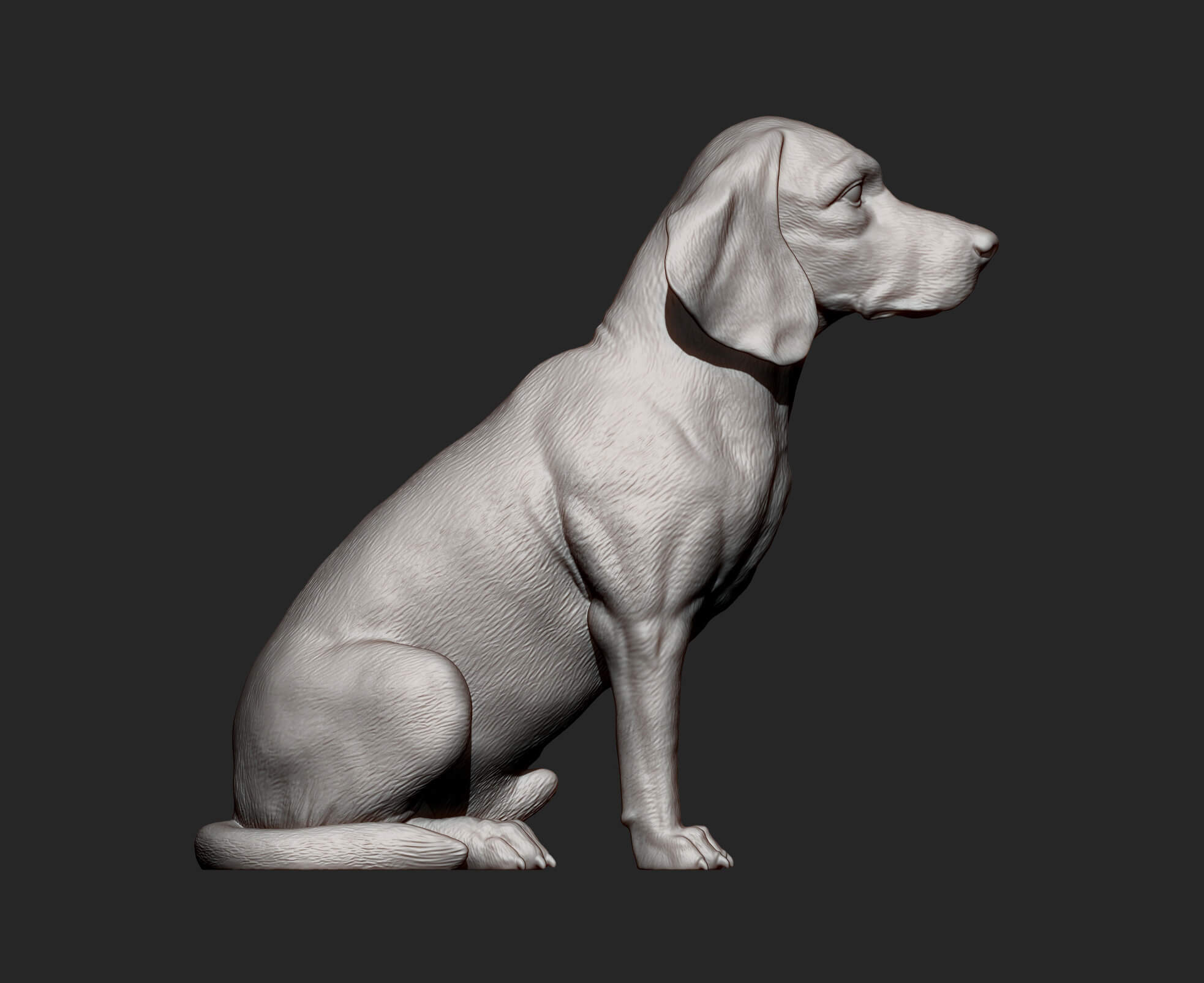 Beagle Dog 3D Print Model by Alexander3dart