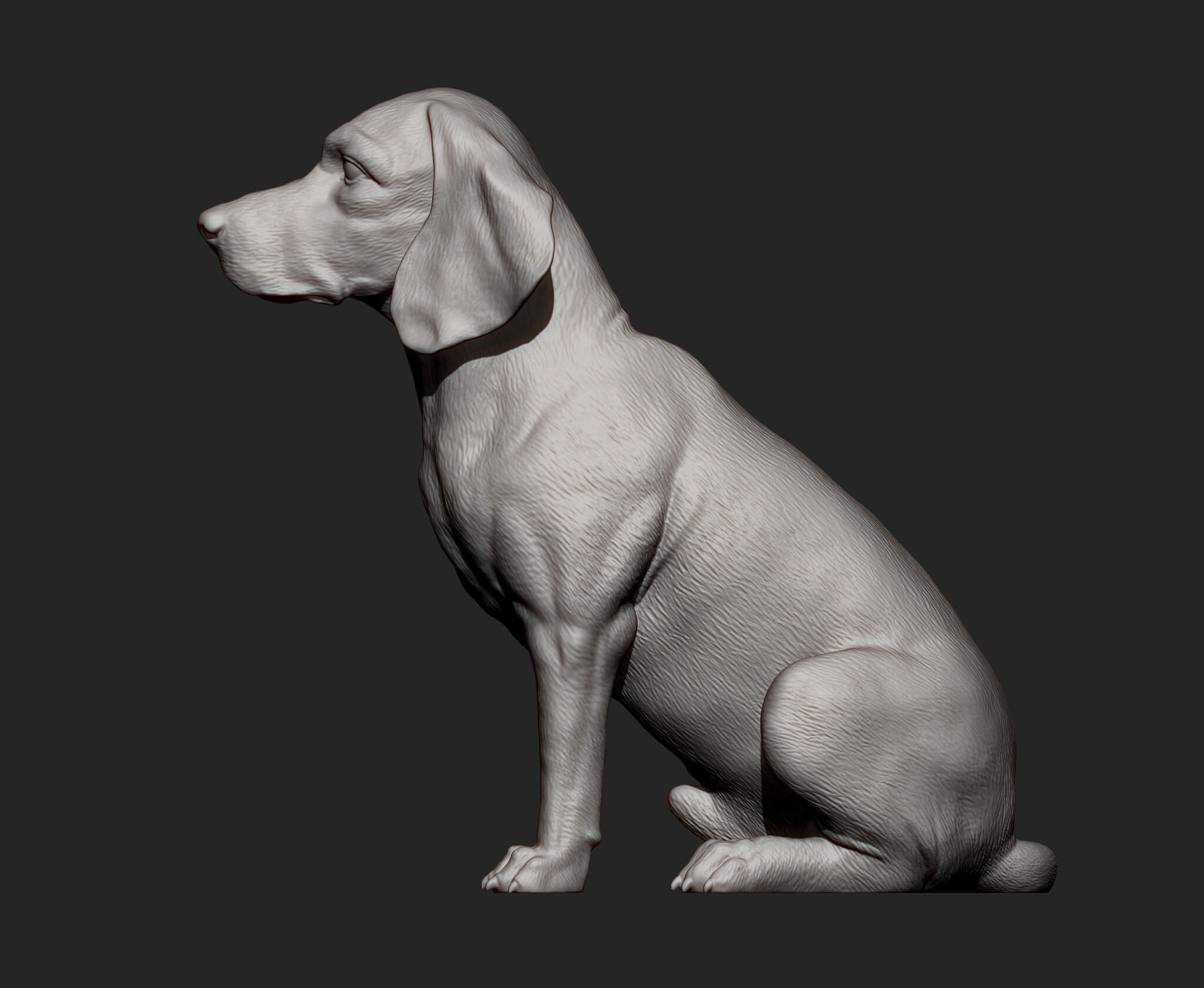 Beagle Dog 3D Print Model by Alexander3dart