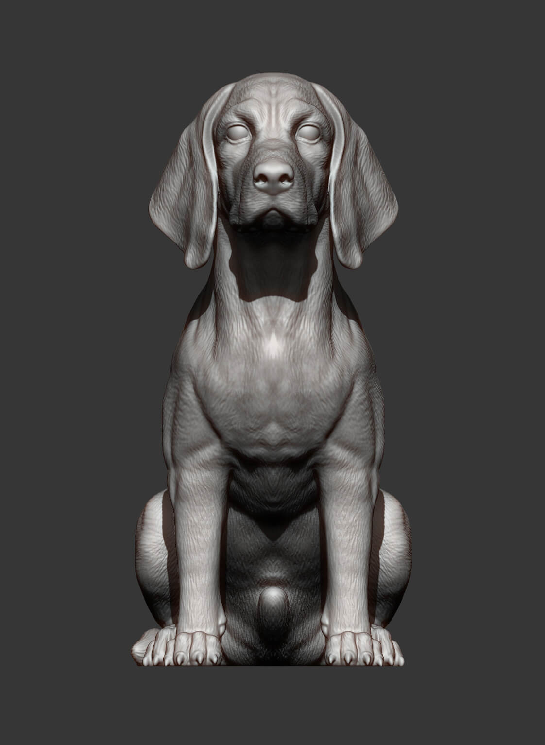 Beagle Dog 3D Print Model by Alexander3dart
