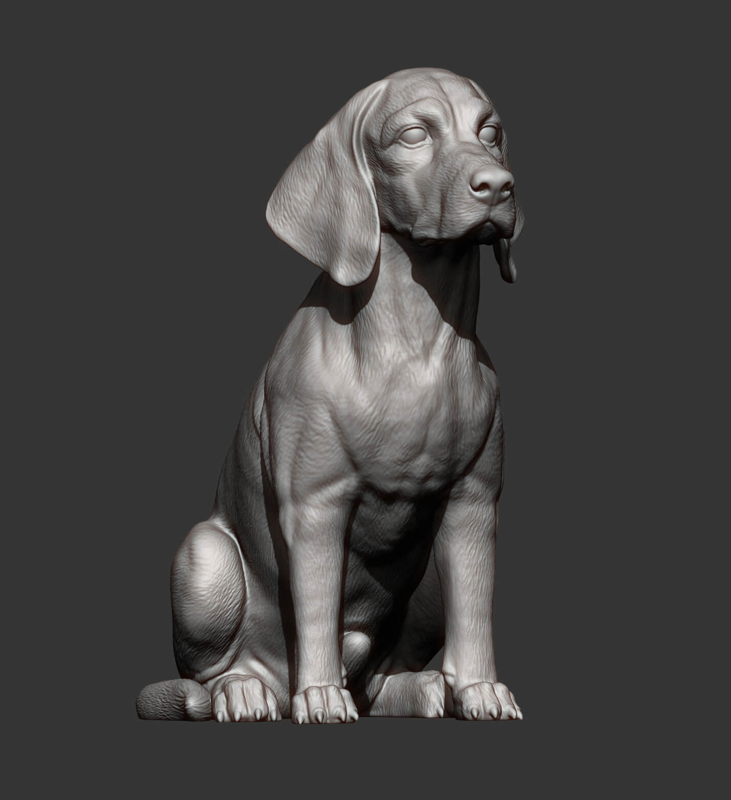 Beagle Dog 3D Print Model by Alexander3dart