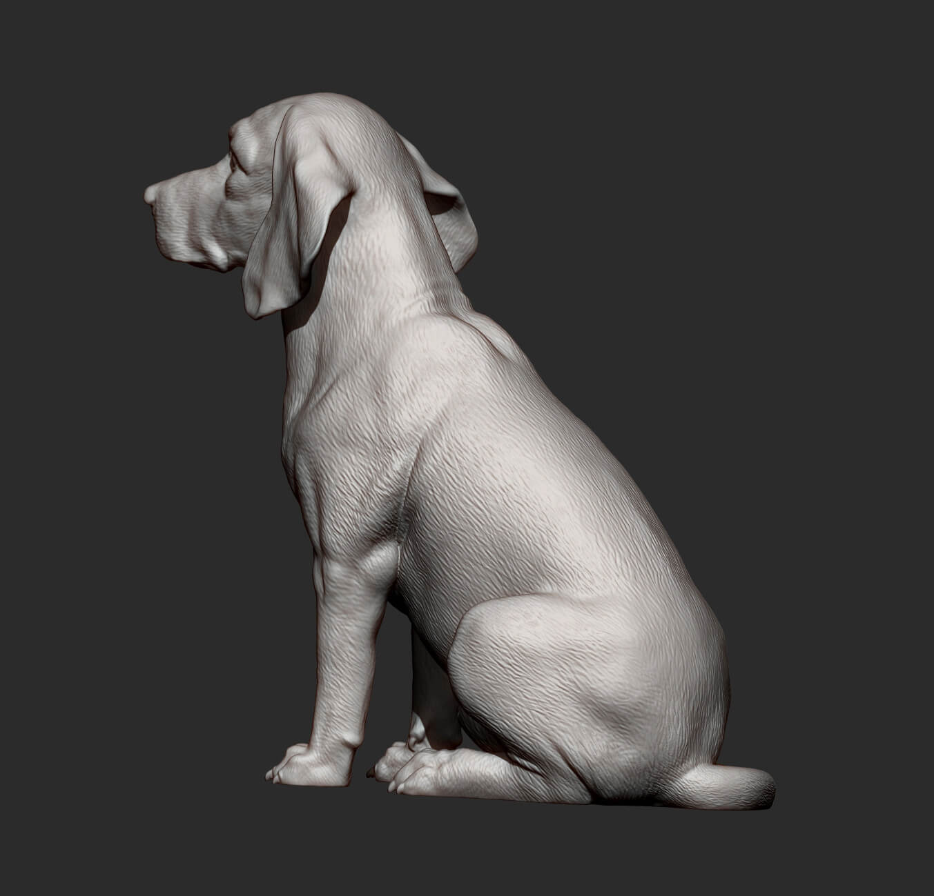 Beagle Dog 3D Print Model by Alexander3dart