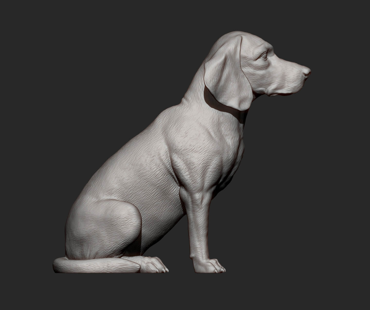 Beagle Dog 3D Print Model by Alexander3dart