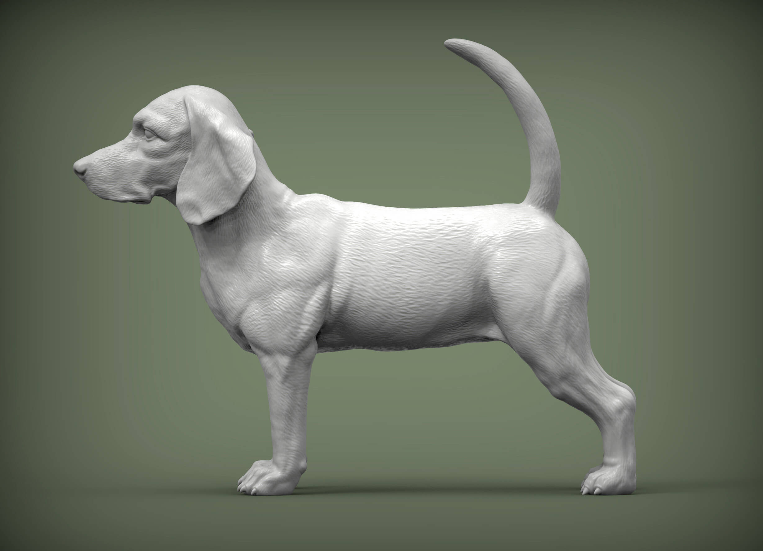 Beagle Dog 3D Print Model by Alexander3dart