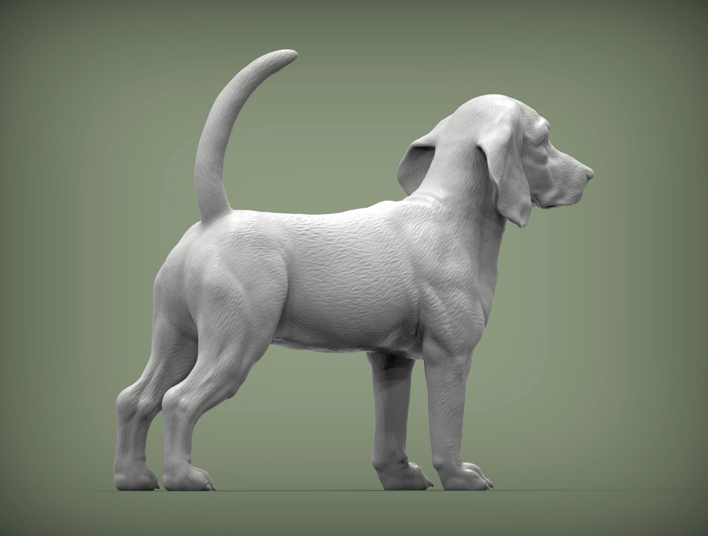 Beagle Dog 3D Print Model by Alexander3dart