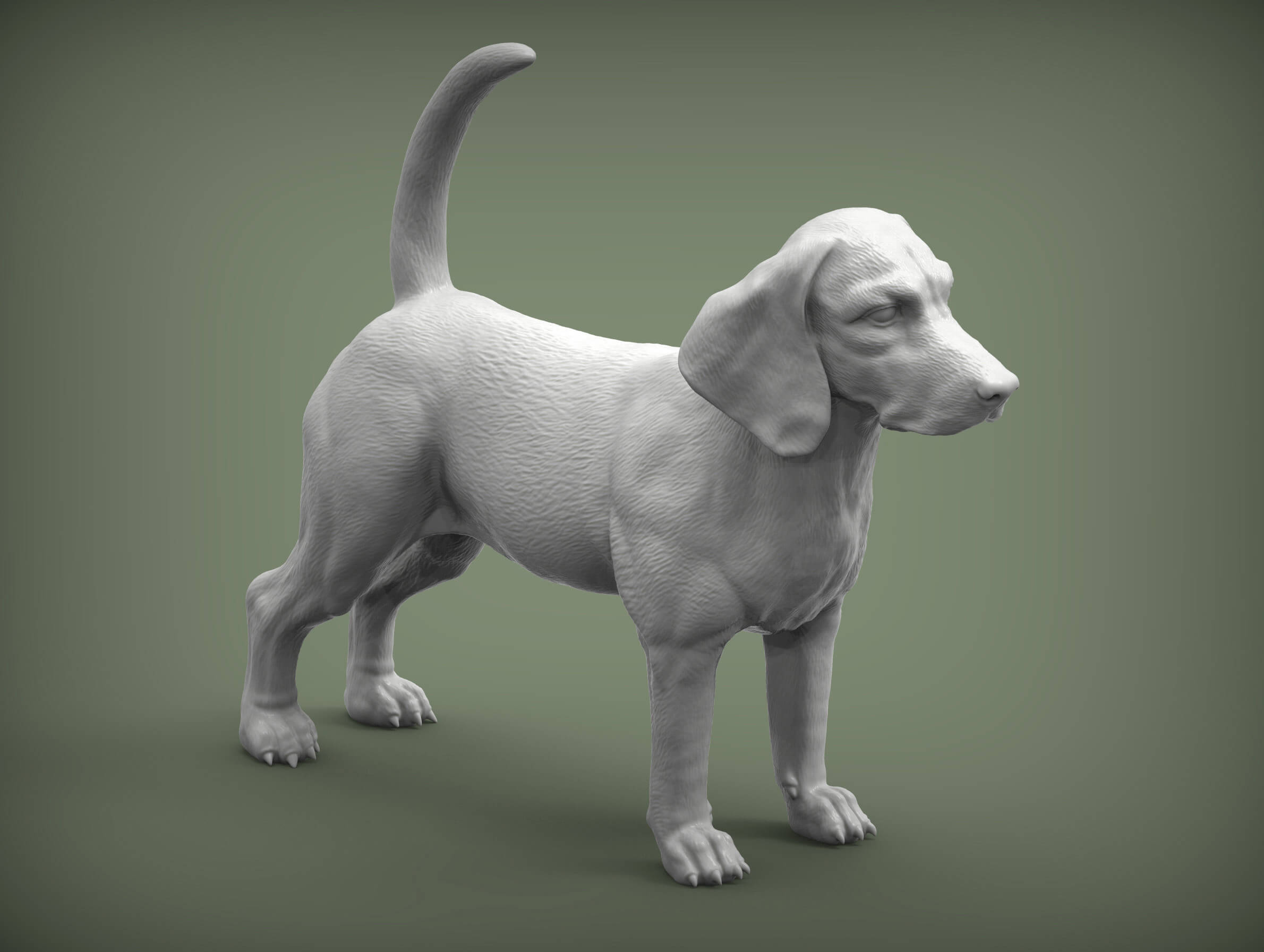 Beagle Dog 3D Print Model by Alexander3dart