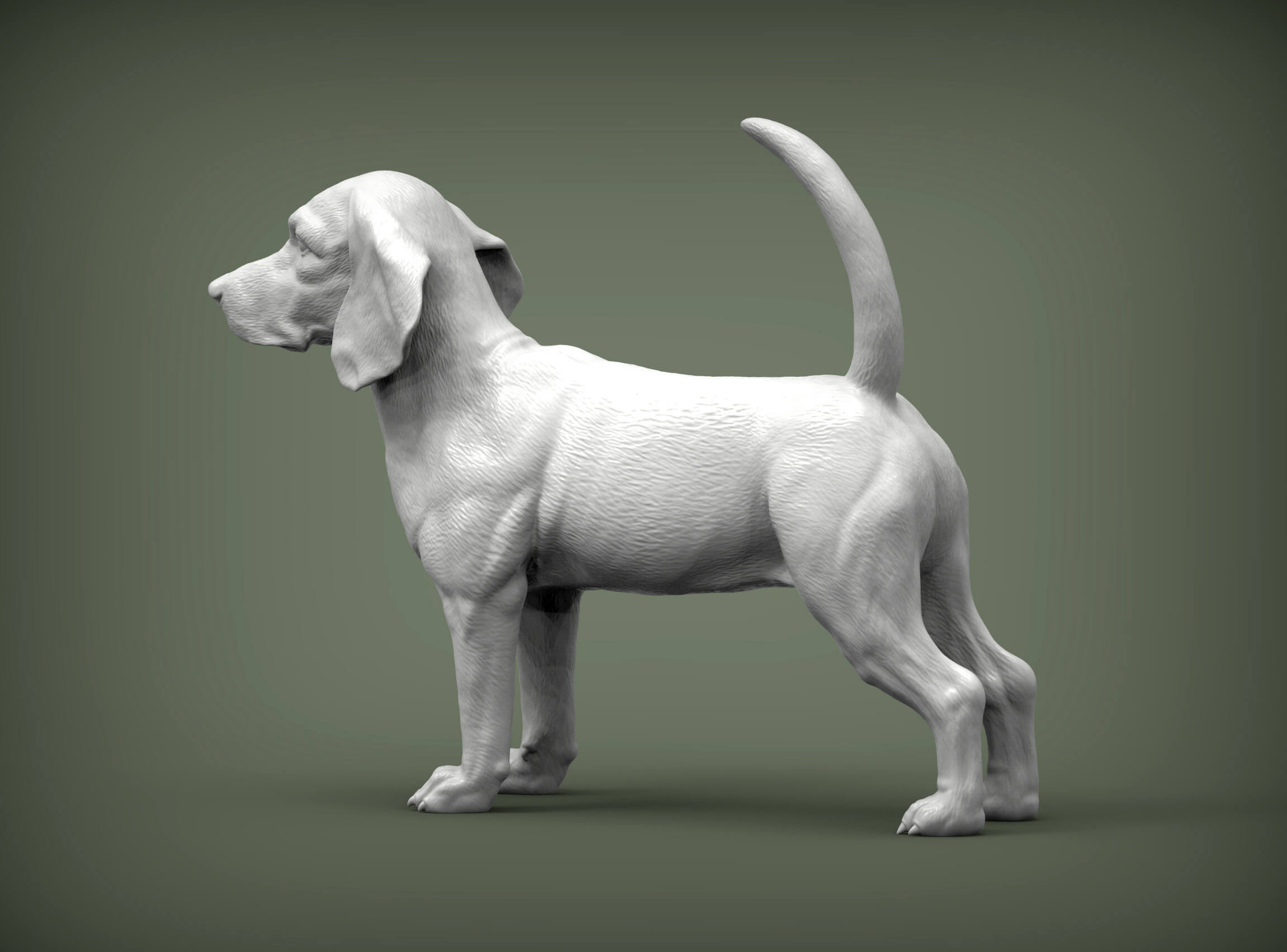 Beagle Dog 3D Print Model by Alexander3dart