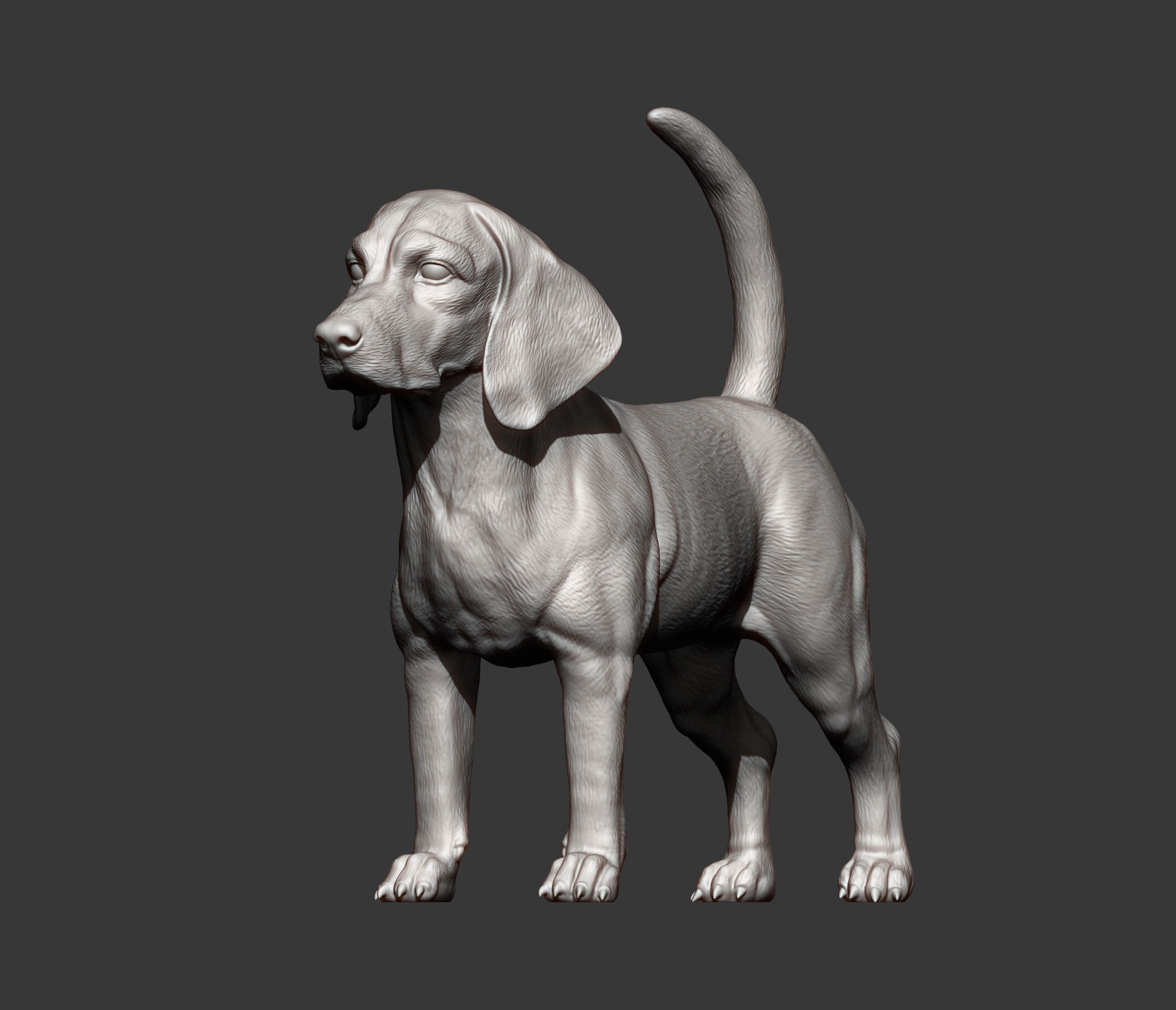Beagle Dog 3D Print Model by Alexander3dart