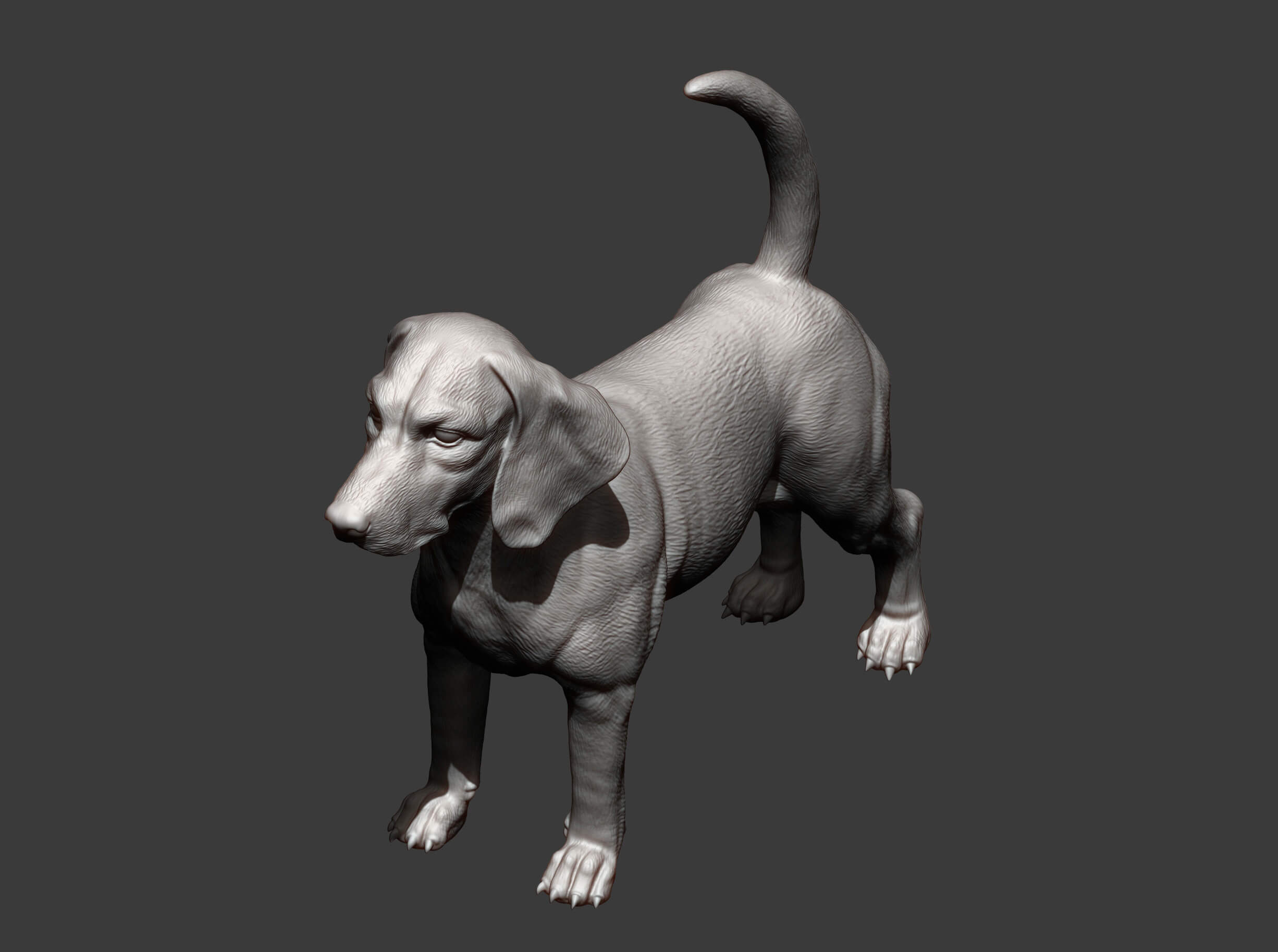 Beagle Dog 3D Print Model by Alexander3dart