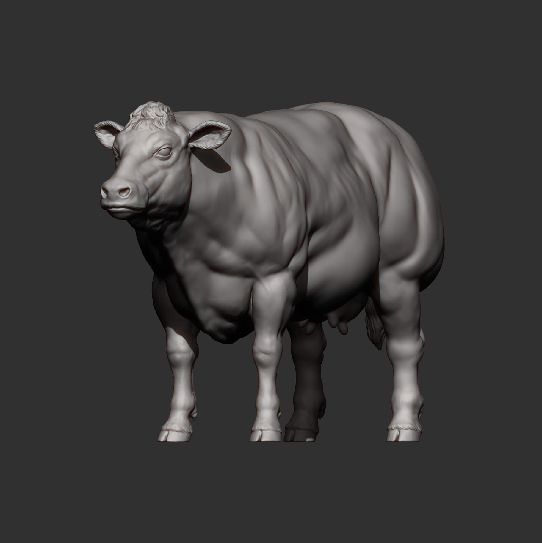 Belgian Blue Cow - 3D Model by Alexander3dart