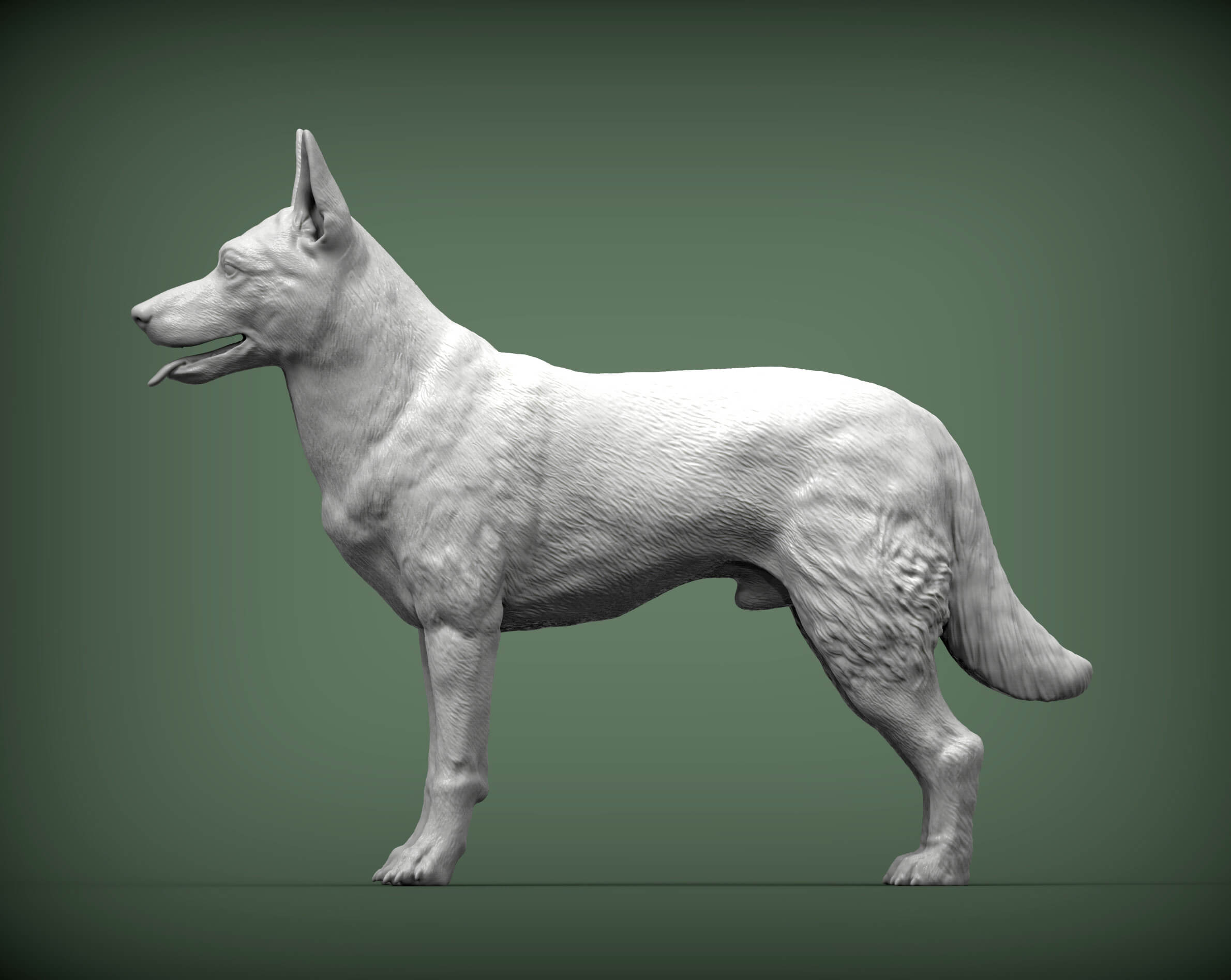 Belgian Malinois 3D Print Model by Alexander3dart