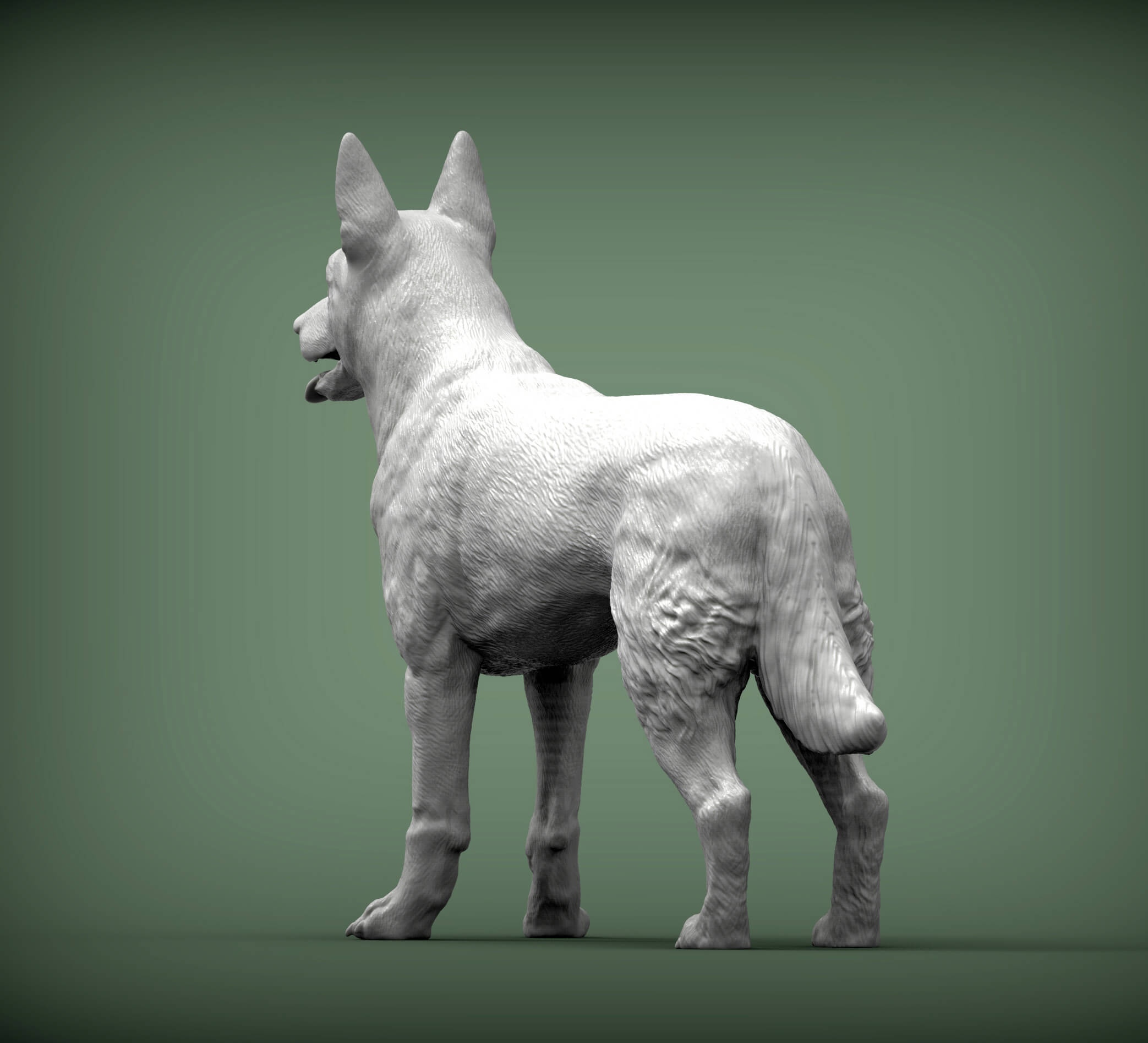Belgian Malinois 3D Print Model by Alexander3dart