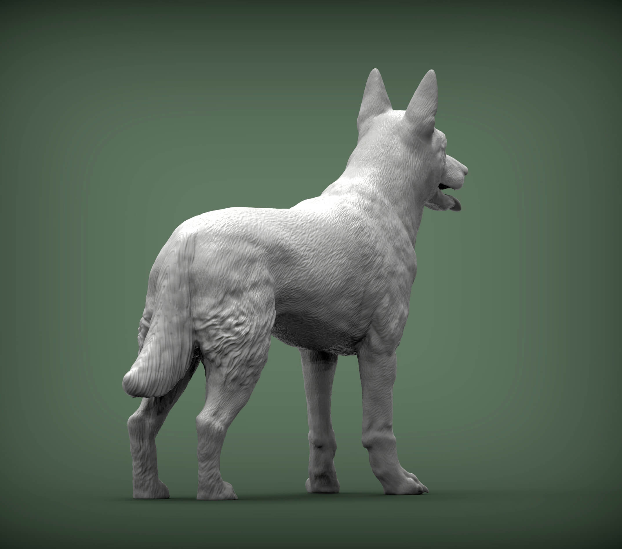 Belgian Malinois 3D Print Model by Alexander3dart