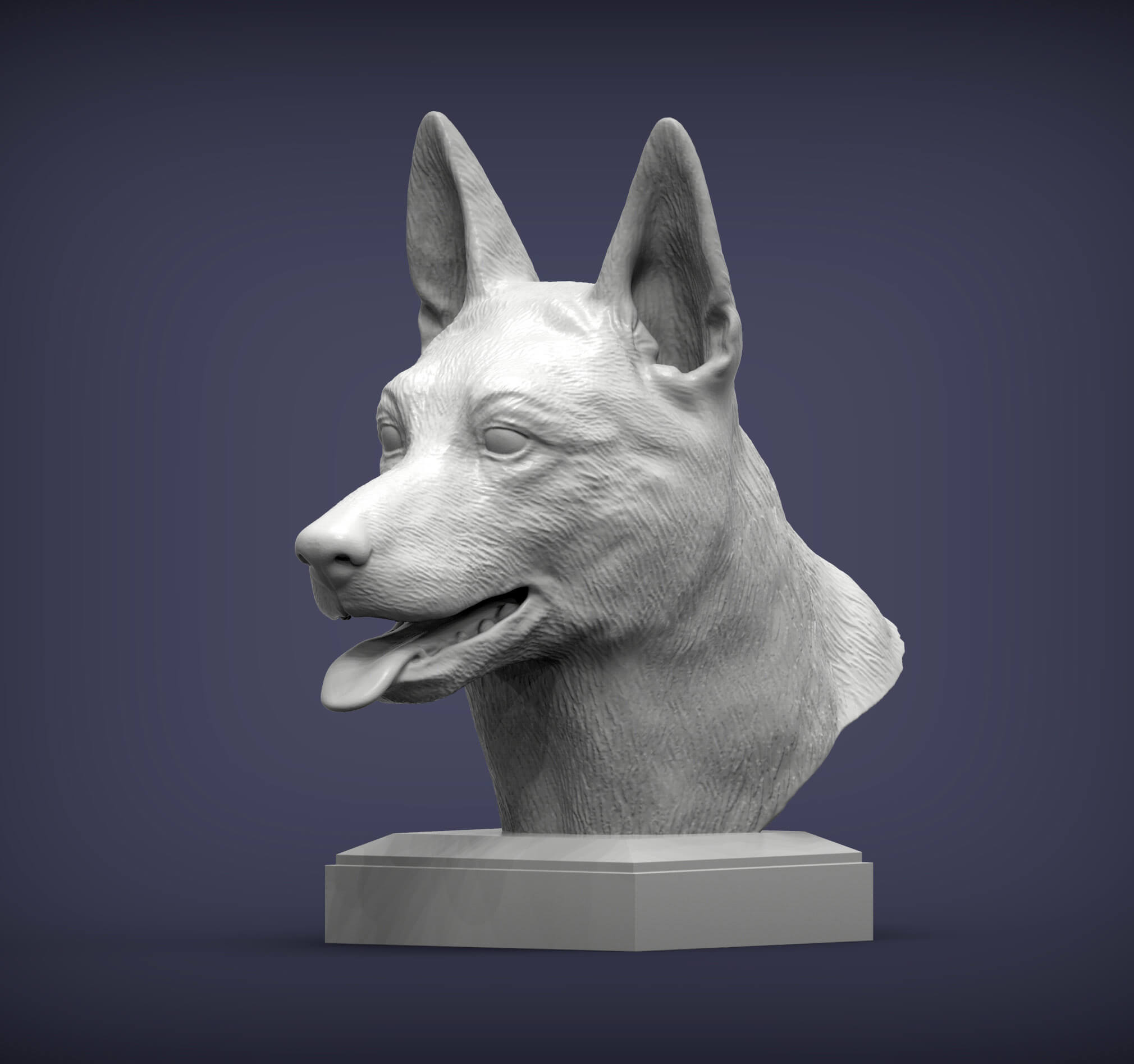 Belgian Malinois Bust 3D Print Model by Alexander3dart