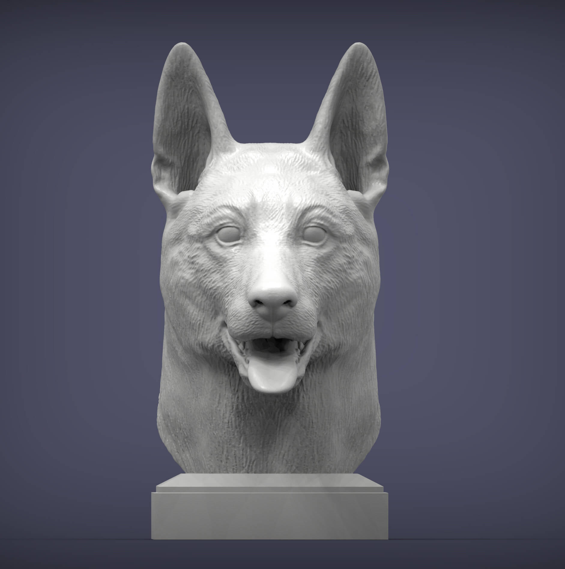 Belgian Malinois Bust 3D Print Model by Alexander3dart