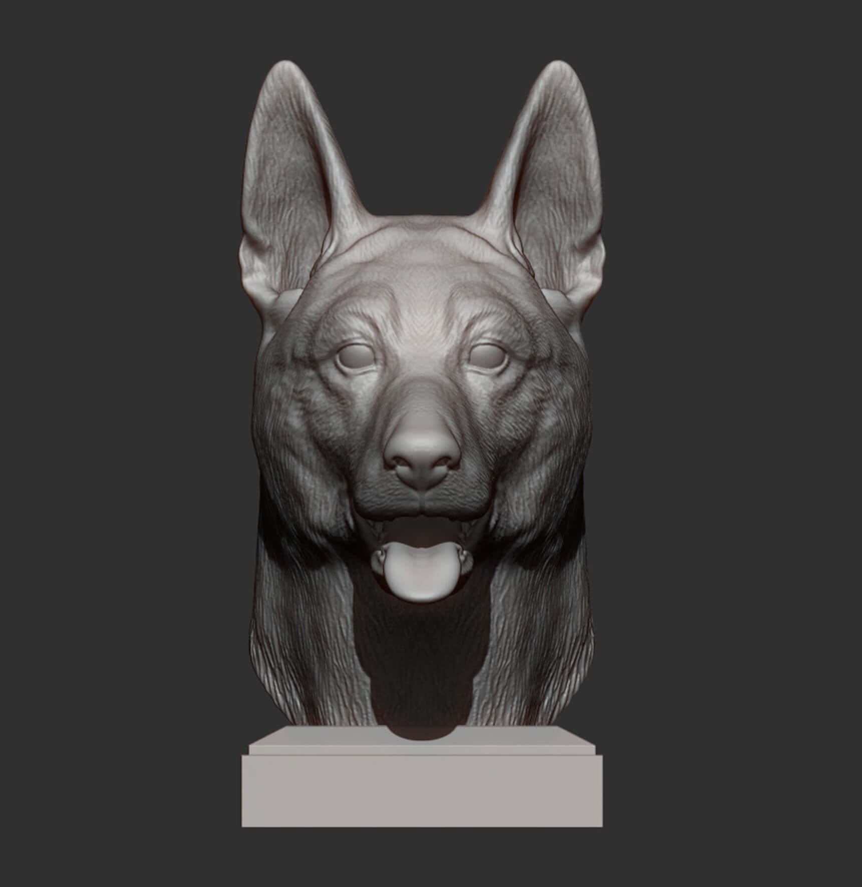 Belgian Malinois Bust 3D Print Model by Alexander3dart