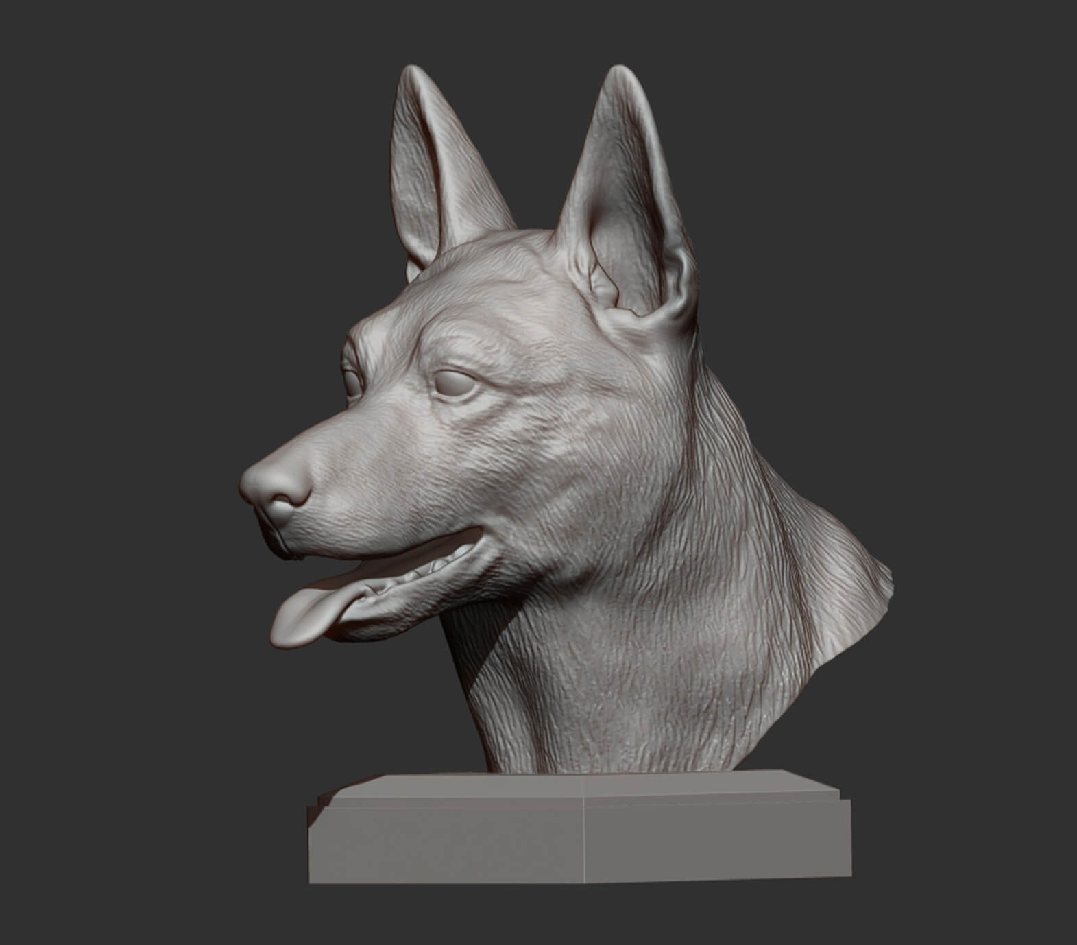 Belgian Malinois Bust 3D Print Model by Alexander3dart