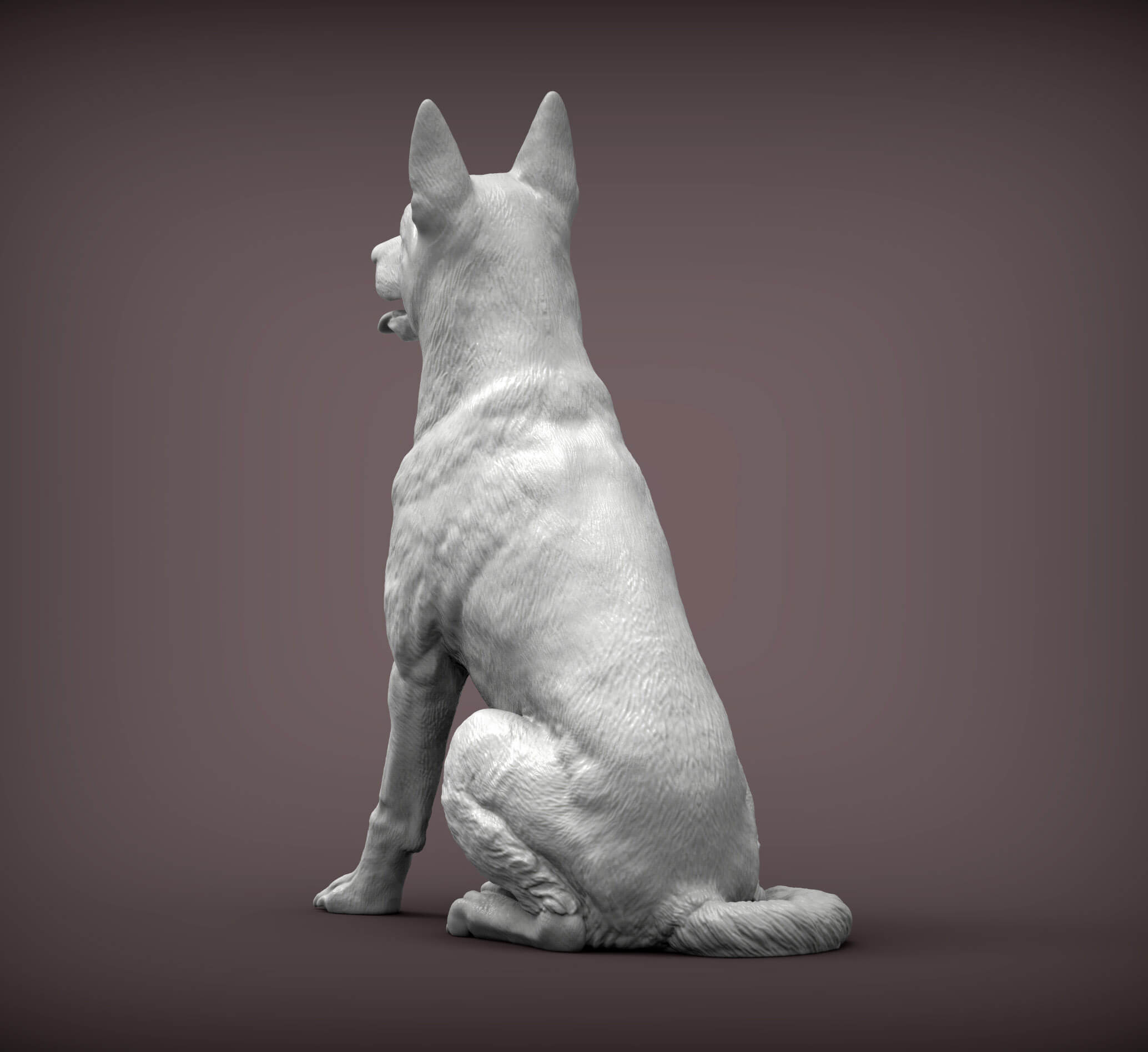 Belgian Malinois Sitting 3D Print Model by Alexander3dart