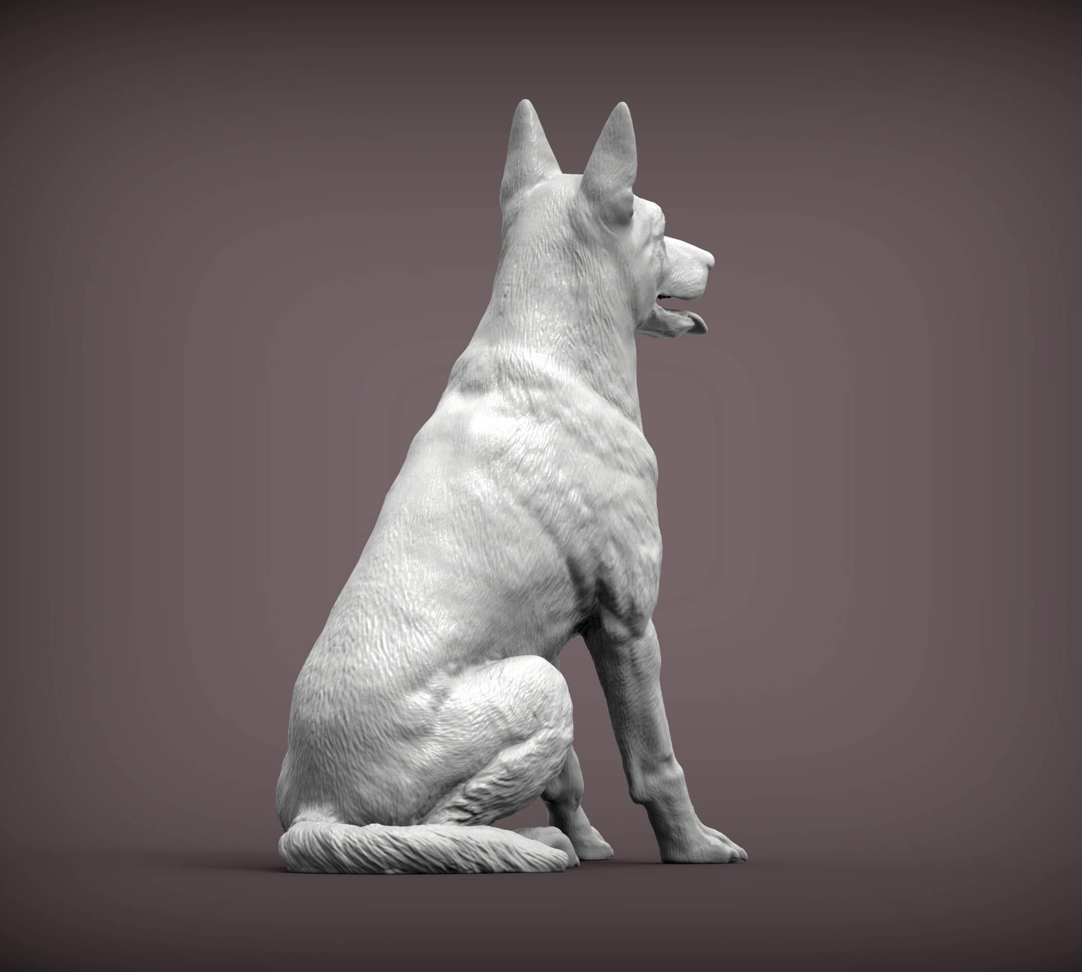 Belgian Malinois Sitting 3D Print Model by Alexander3dart