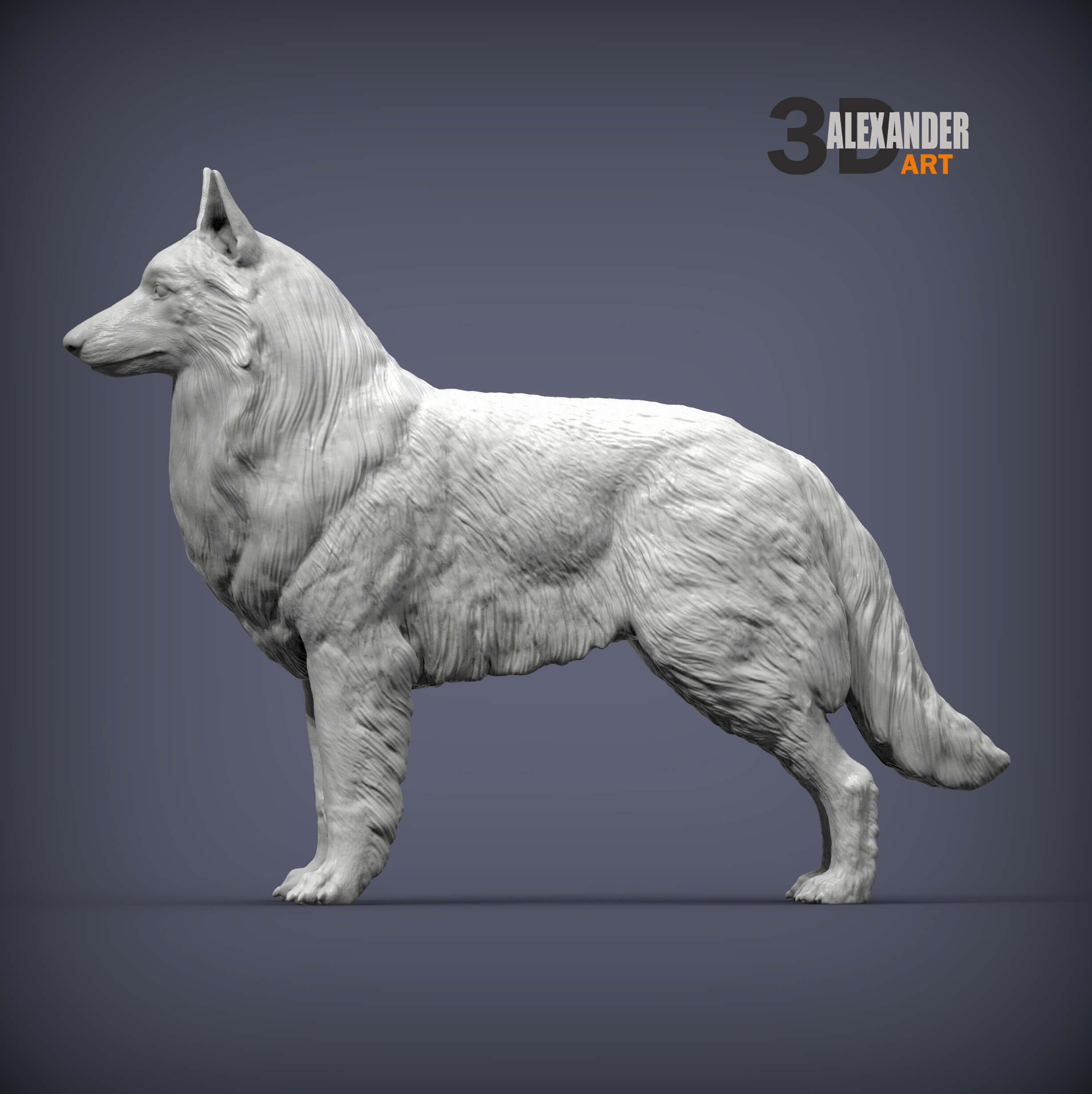 Belgian Sheepdog - 3D Model by Alexander3dart